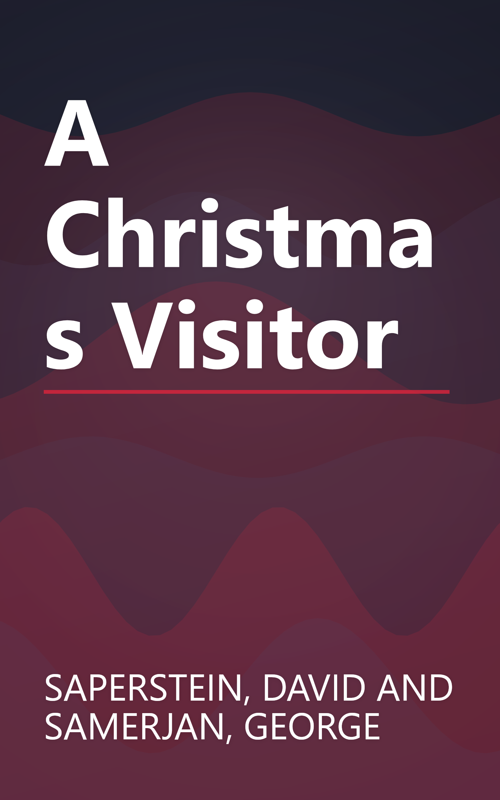 A Christmas Visitor book cover