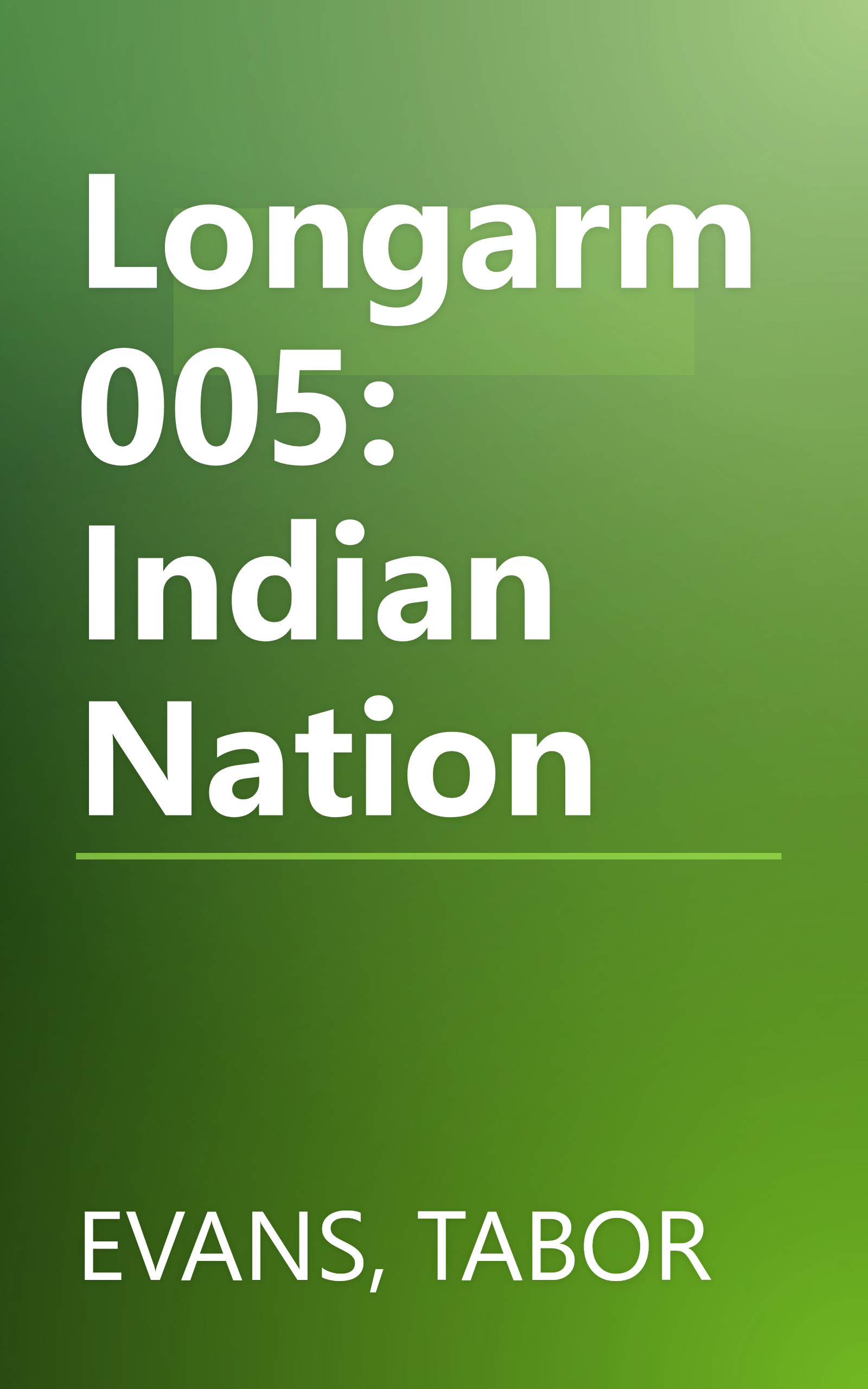 Longarm 005: Indian Nation book cover