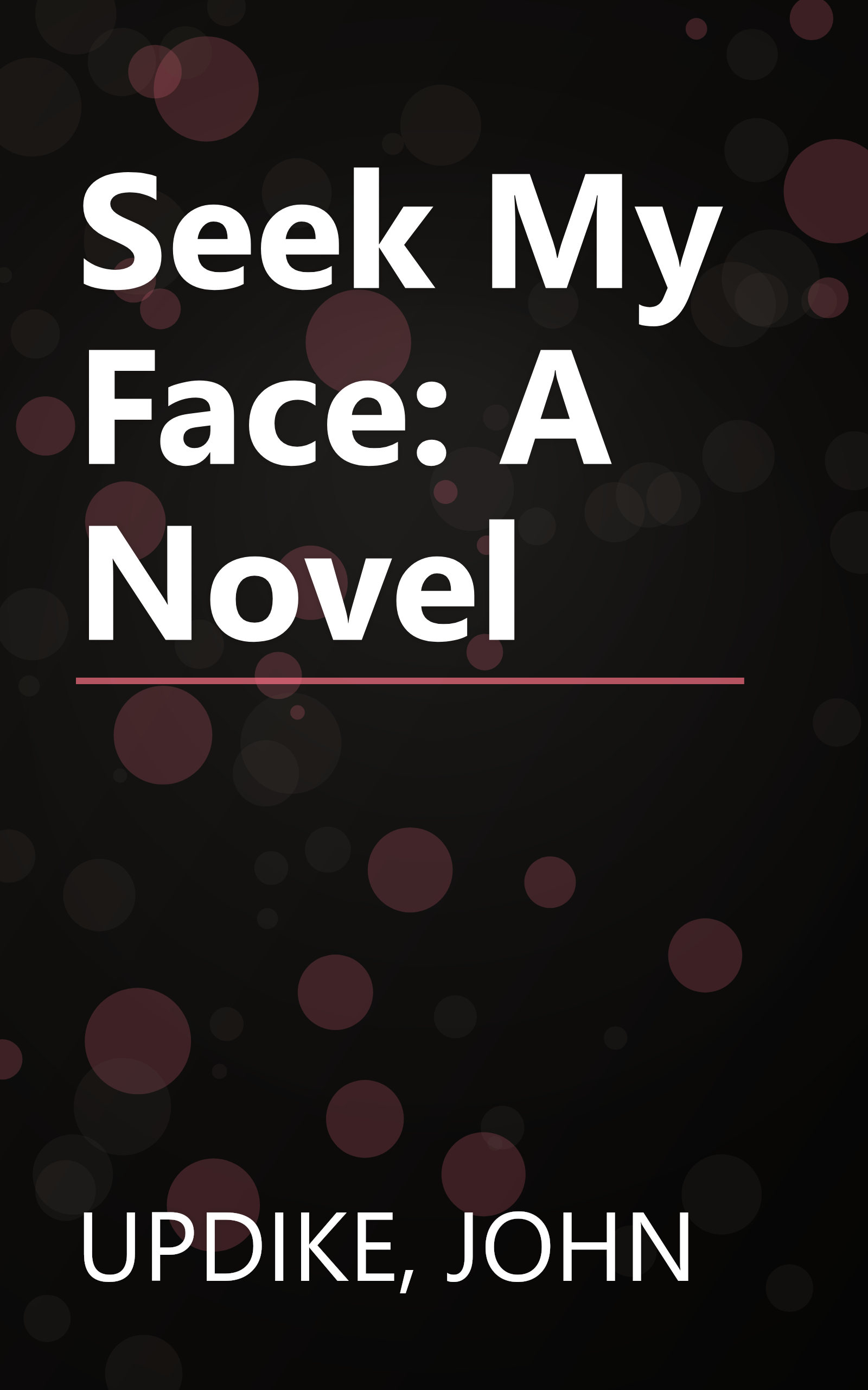 Seek My Face: A Novel book cover