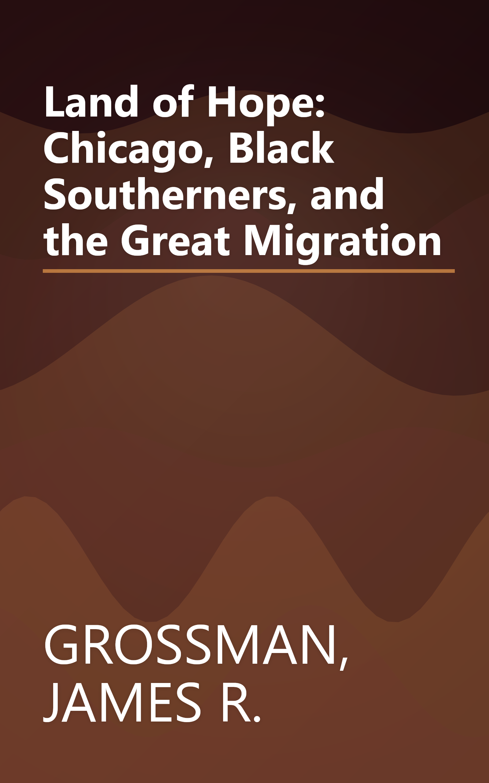 Land of Hope: Chicago, Black Southerners, and the Great Migration book cover