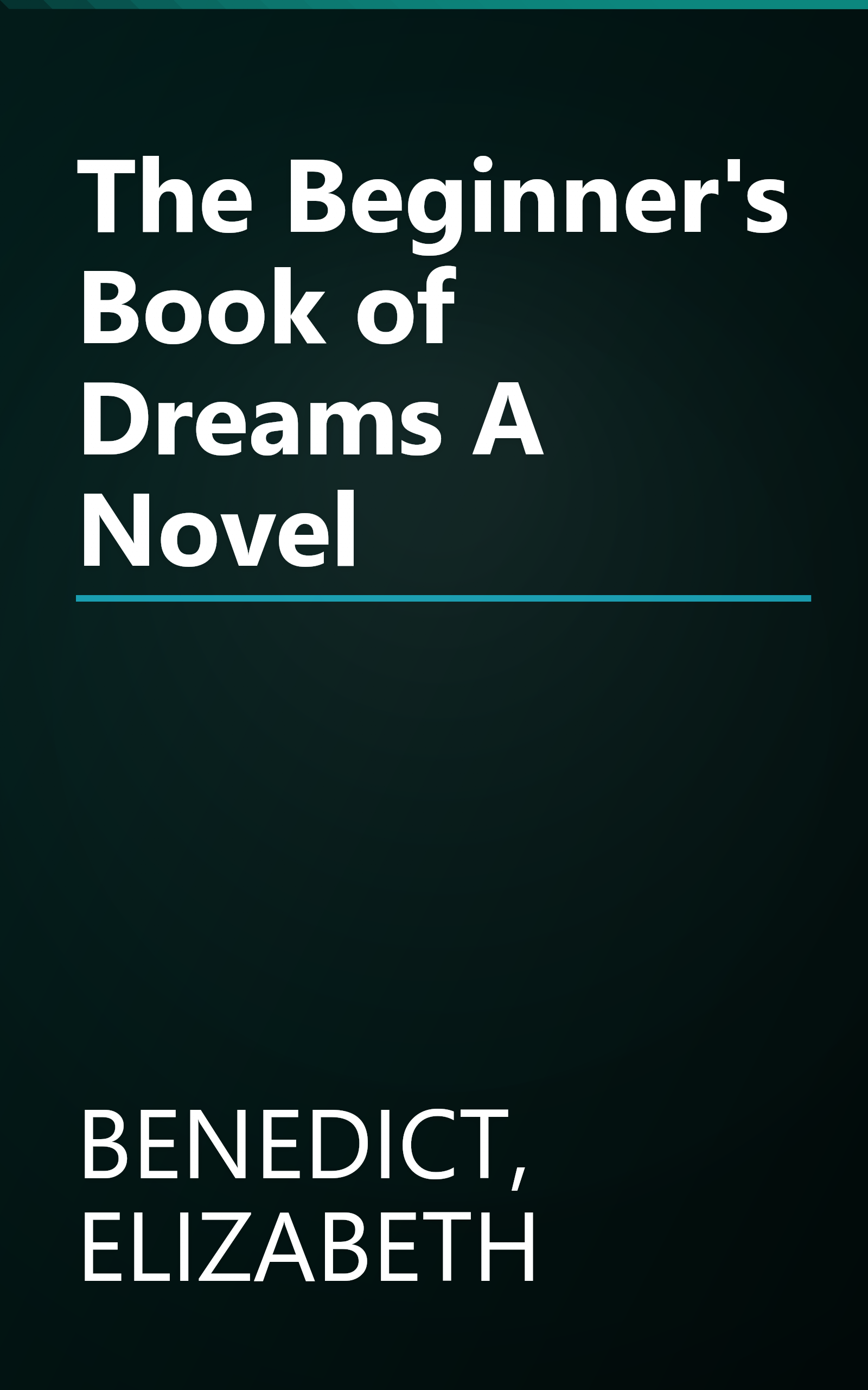 The Beginner's Book of Dreams A Novel book cover
