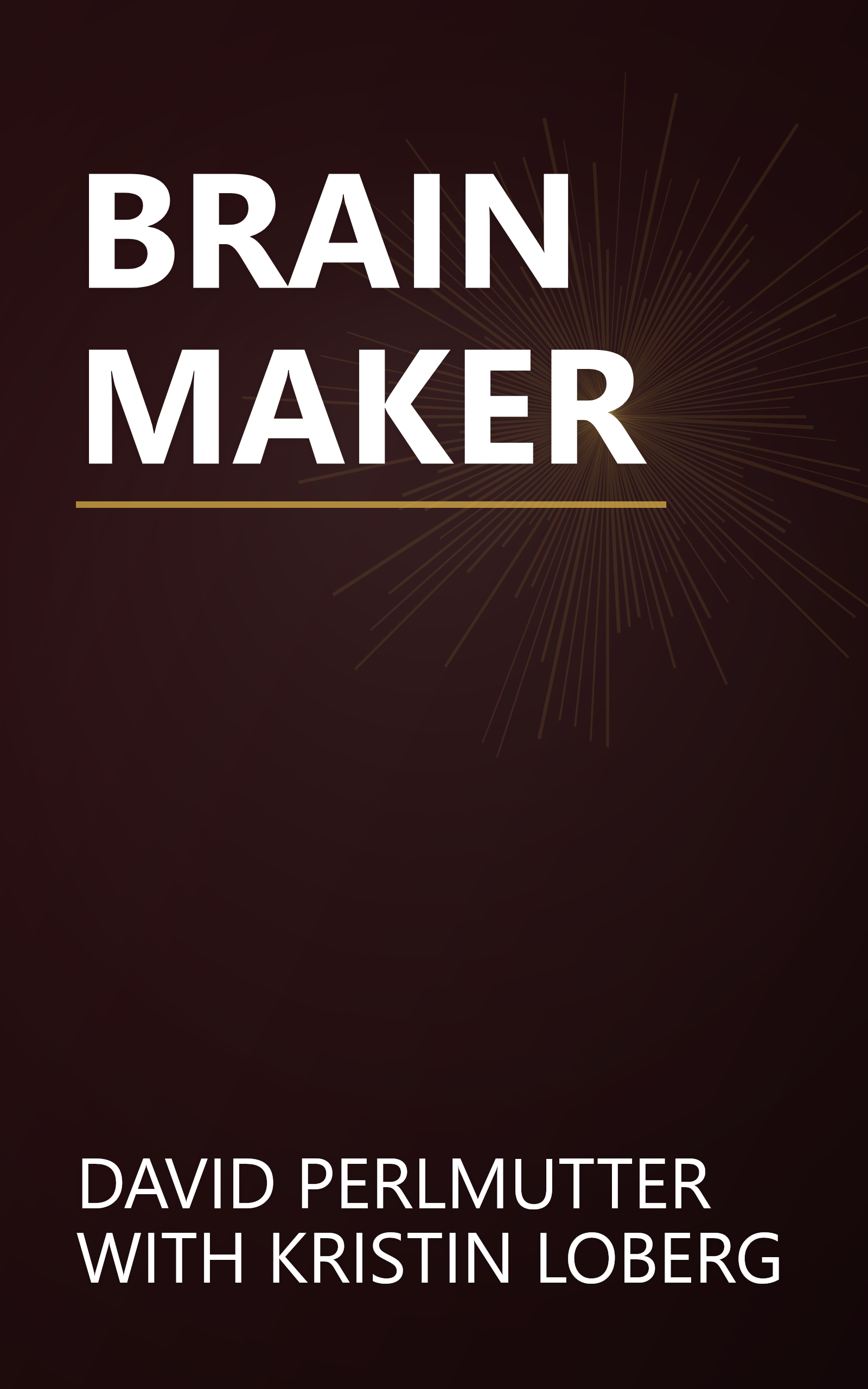 BRAIN MAKER book cover