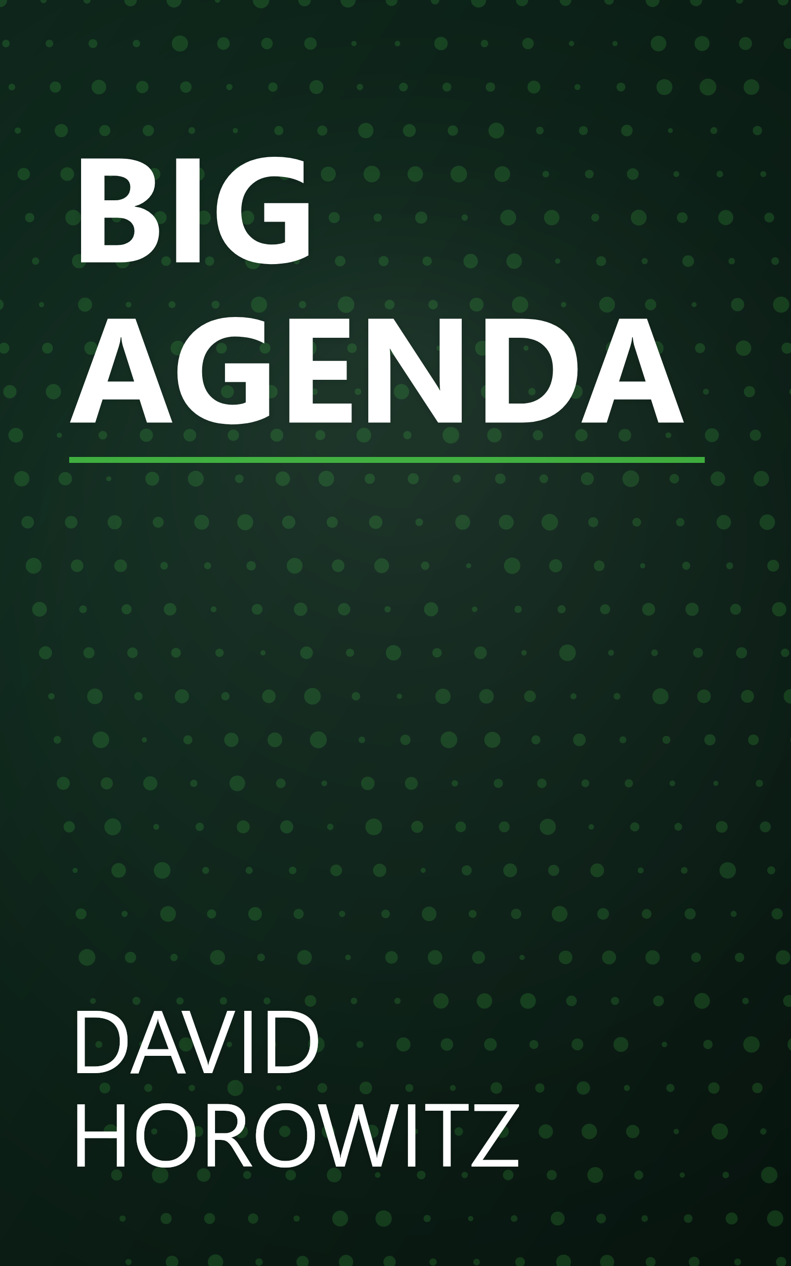 BIG AGENDA book cover