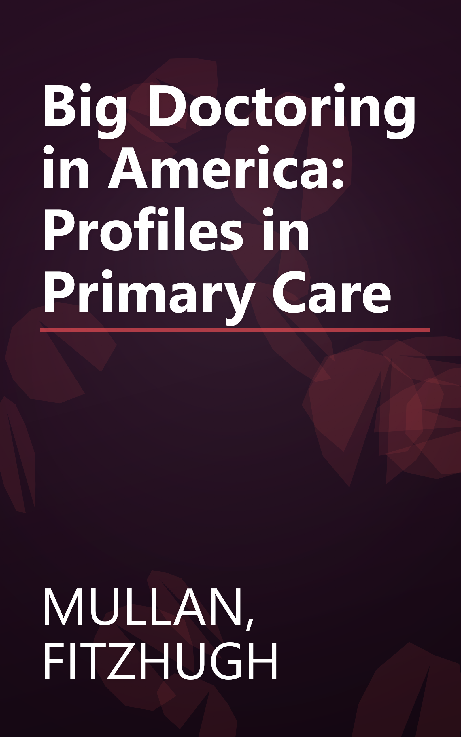 Big Doctoring in America: Profiles in Primary Care book cover