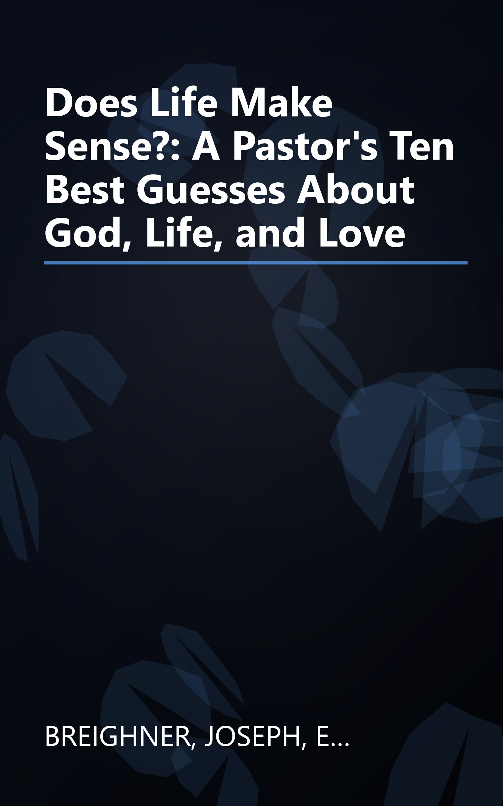Does Life Make Sense?: A Pastor's Ten Best Guesses About God, Life, and Love book cover