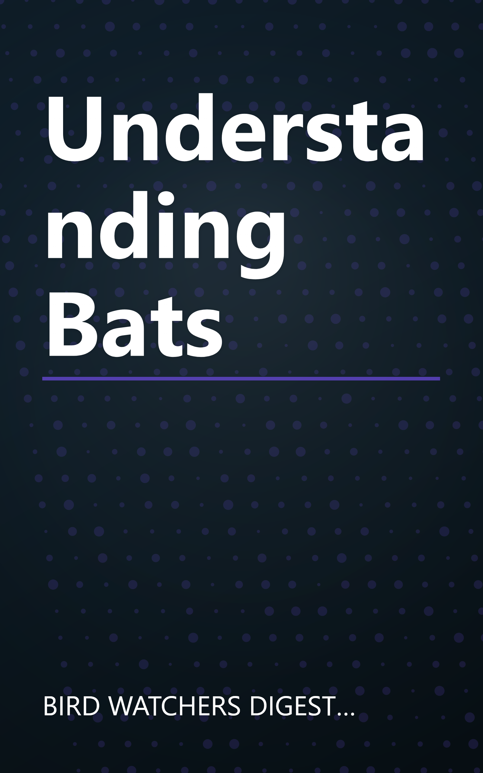 Understanding Bats book cover