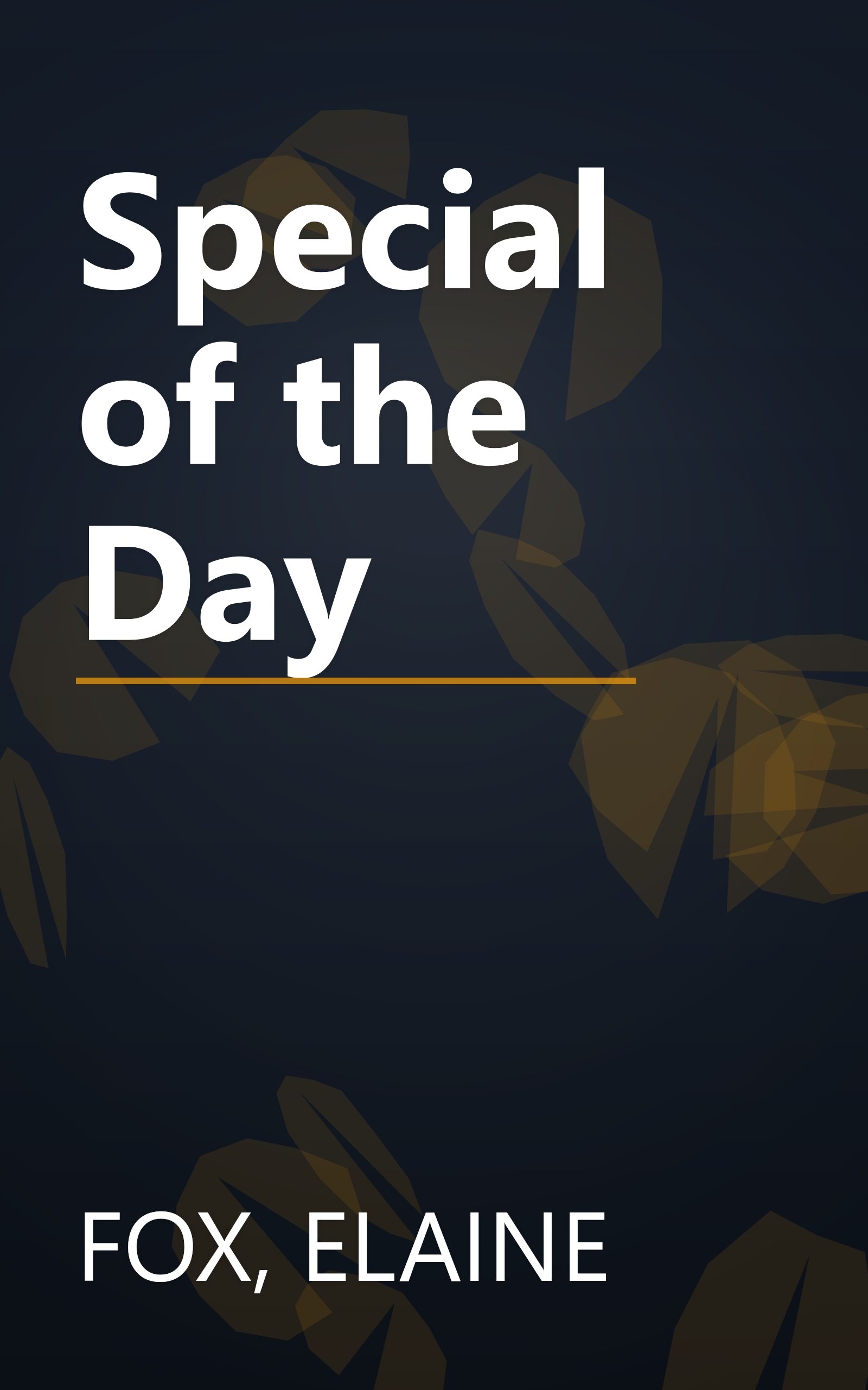 Special of the Day book cover