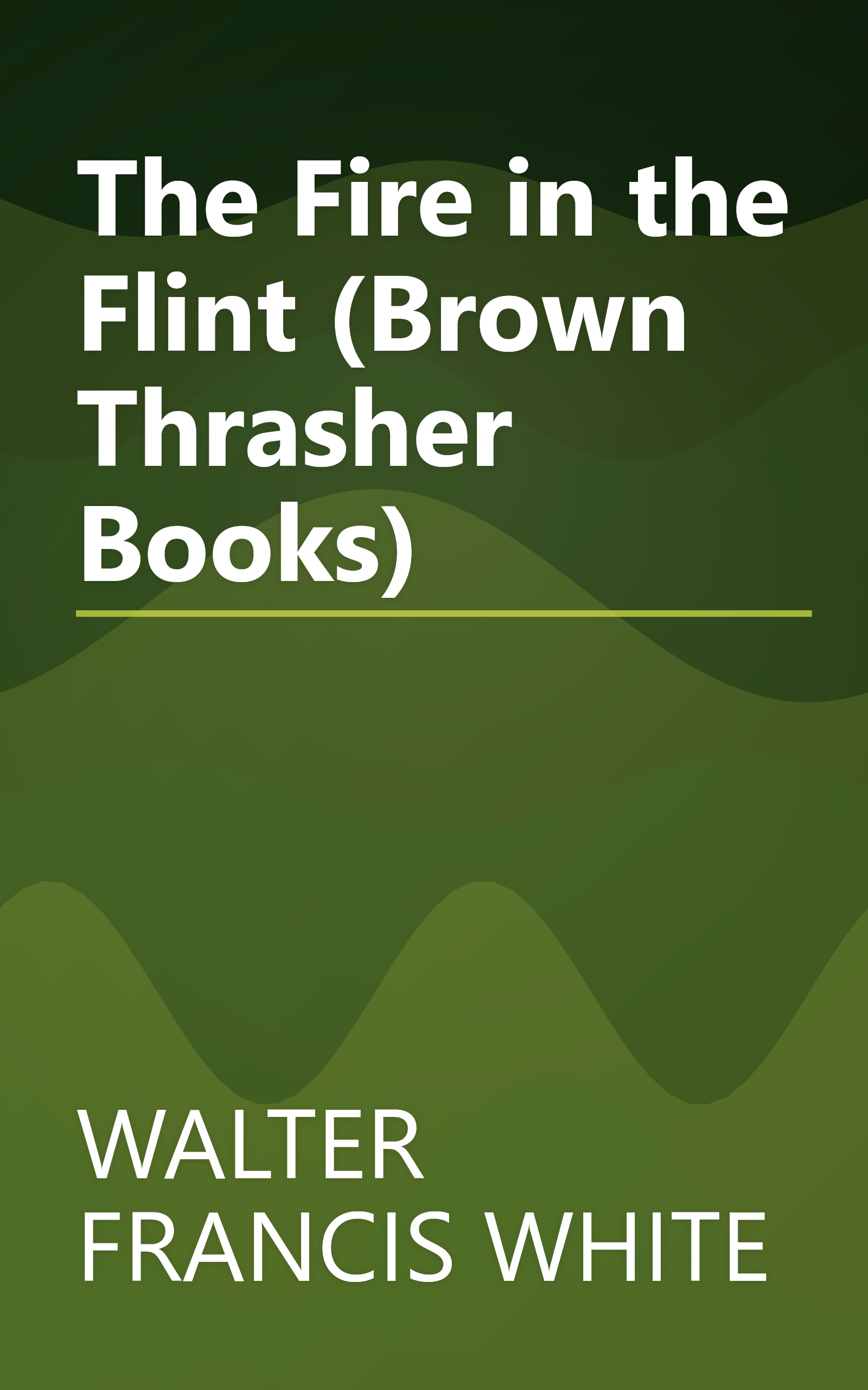 The Fire in the Flint (Brown Thrasher Books) book cover