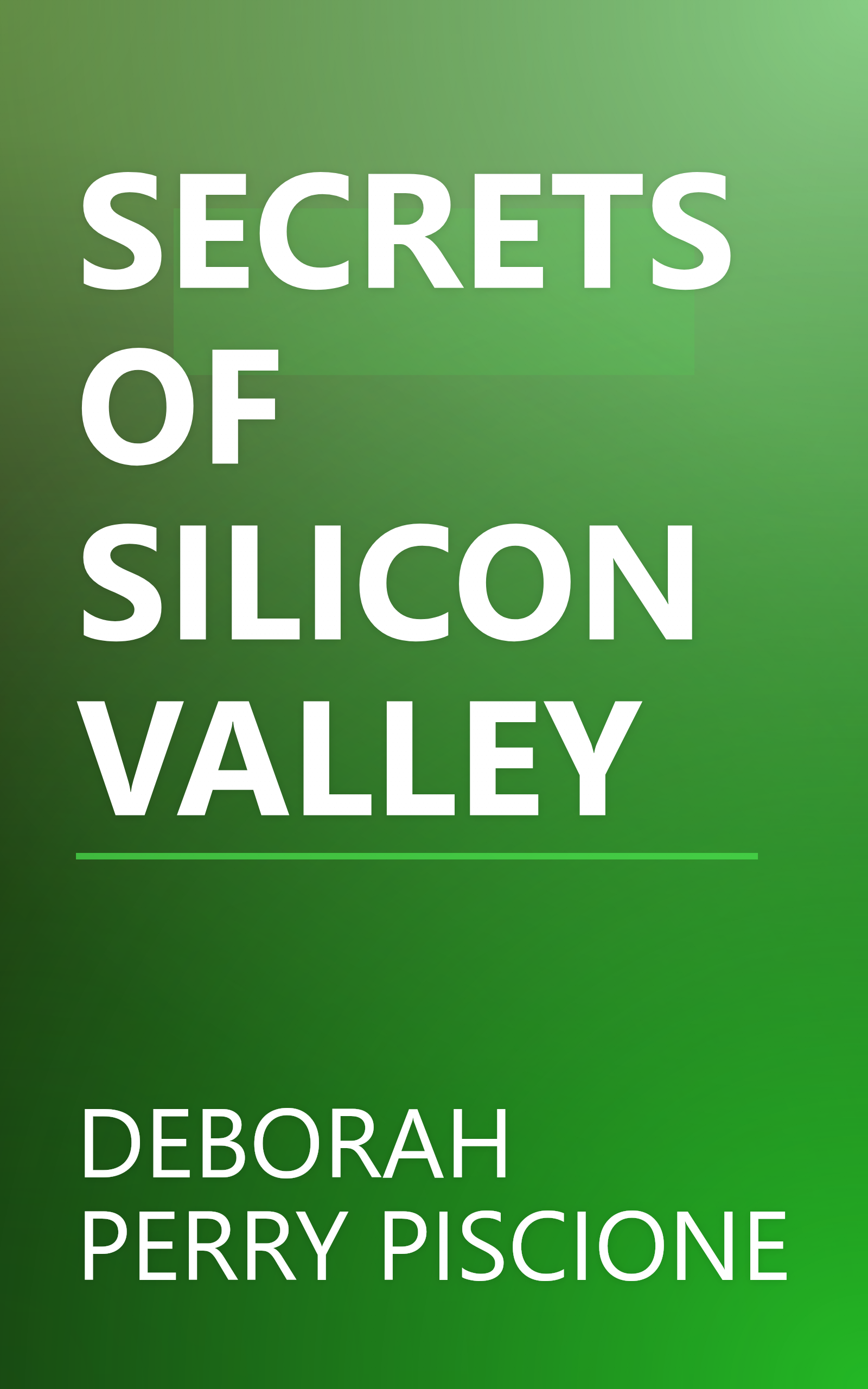 SECRETS OF SILICON VALLEY book cover