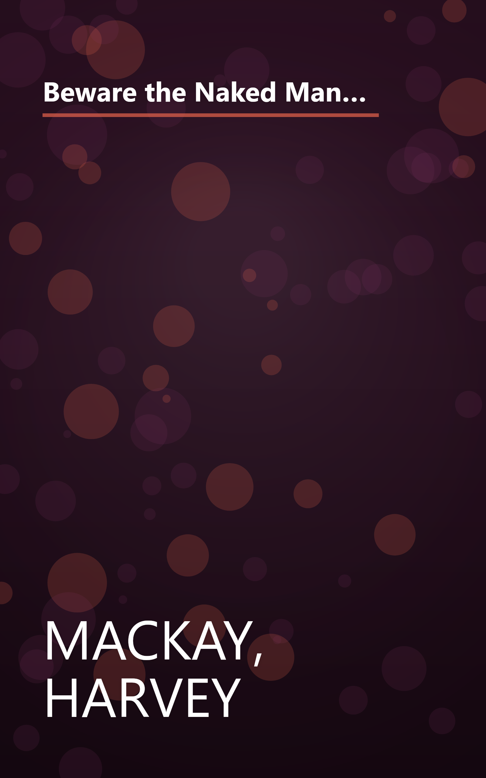 Beware the Naked Man Who Offers You His Shirt: Do What You Love, Love What You Do, and Deliver More Than You Promise book cover