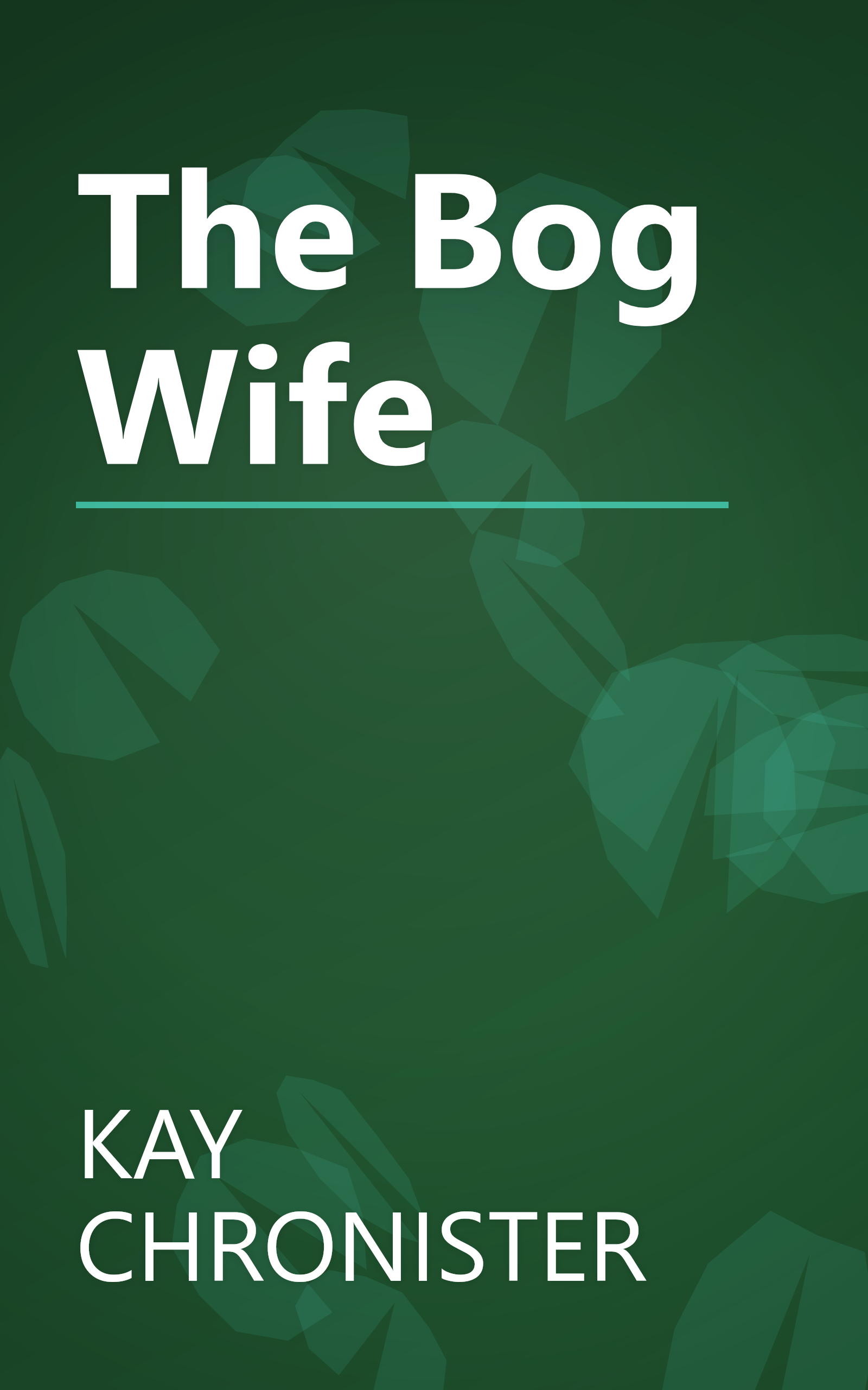 The Bog Wife book cover