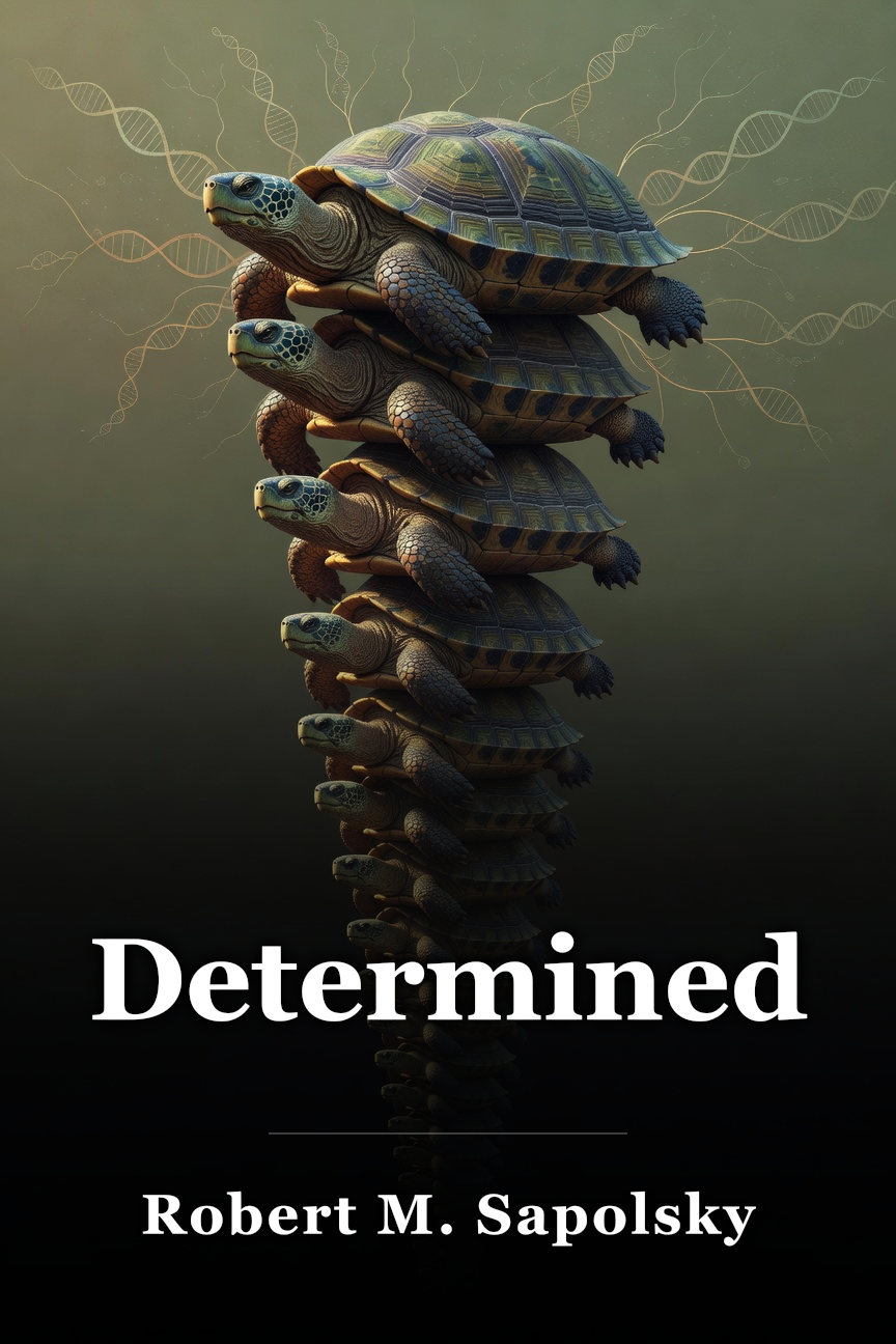 Determined book cover