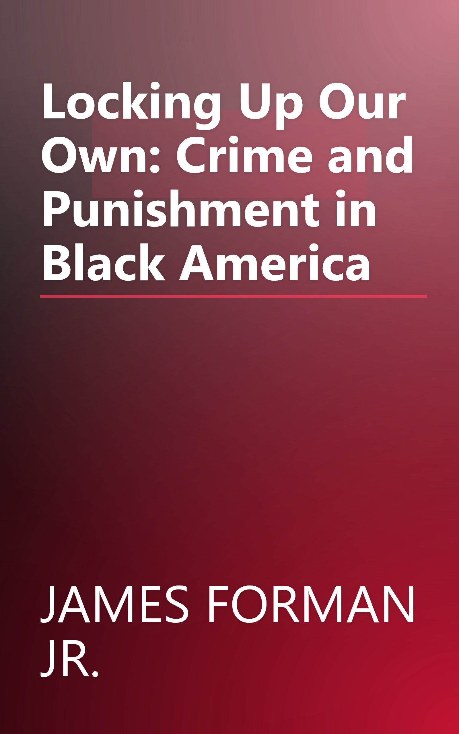 Locking Up Our Own: Crime and Punishment in Black America book cover