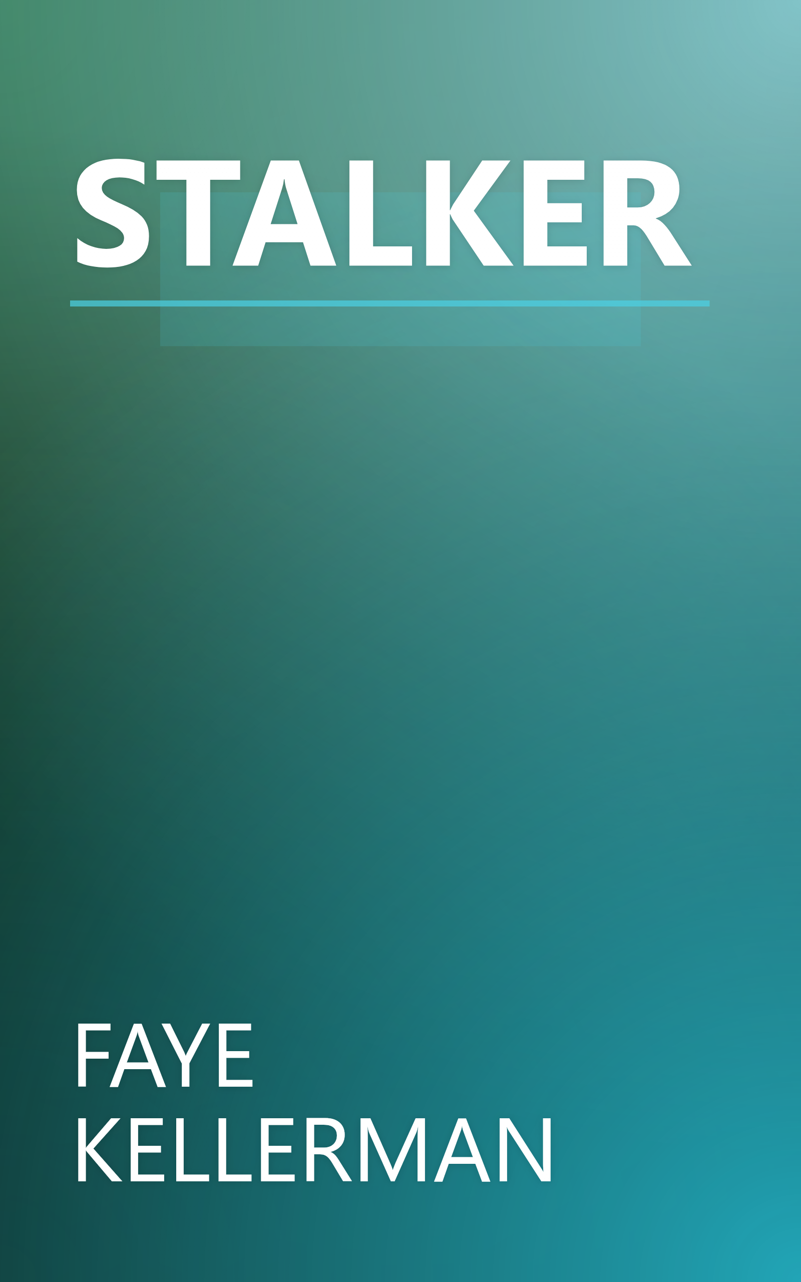 STALKER book cover
