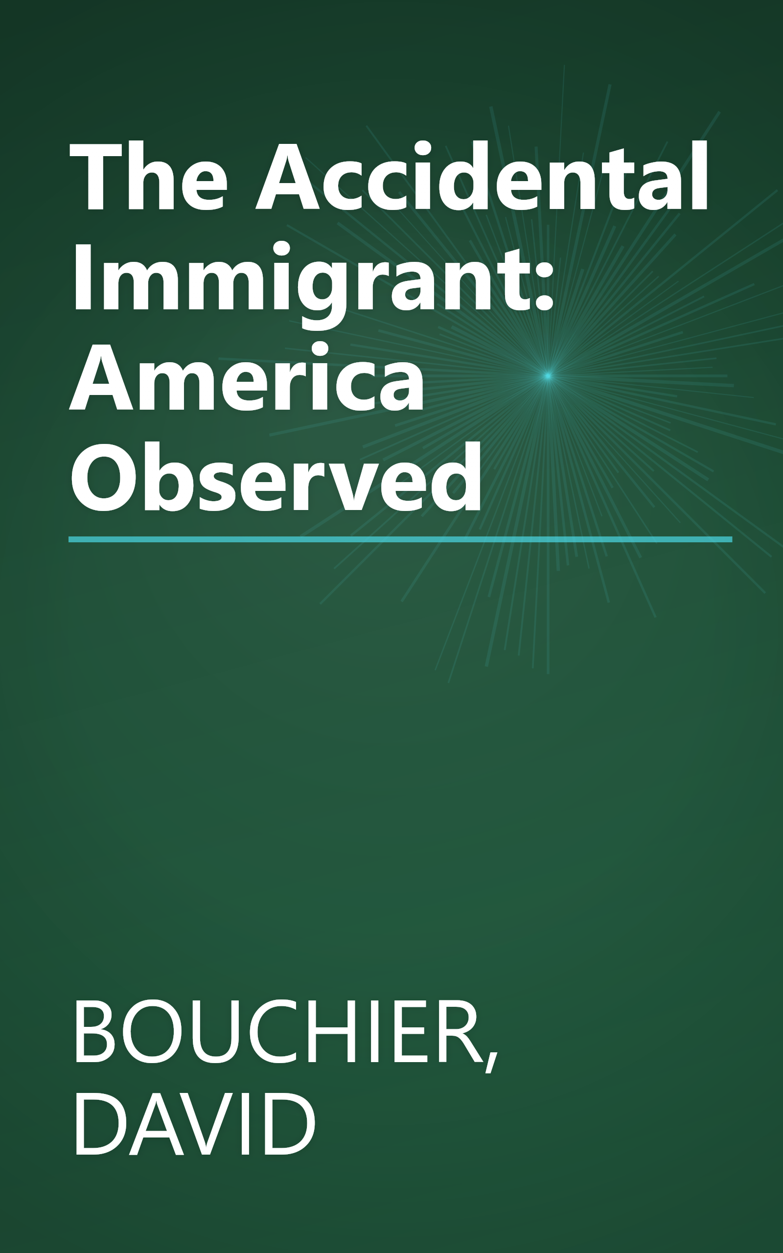 The Accidental Immigrant: America Observed book cover