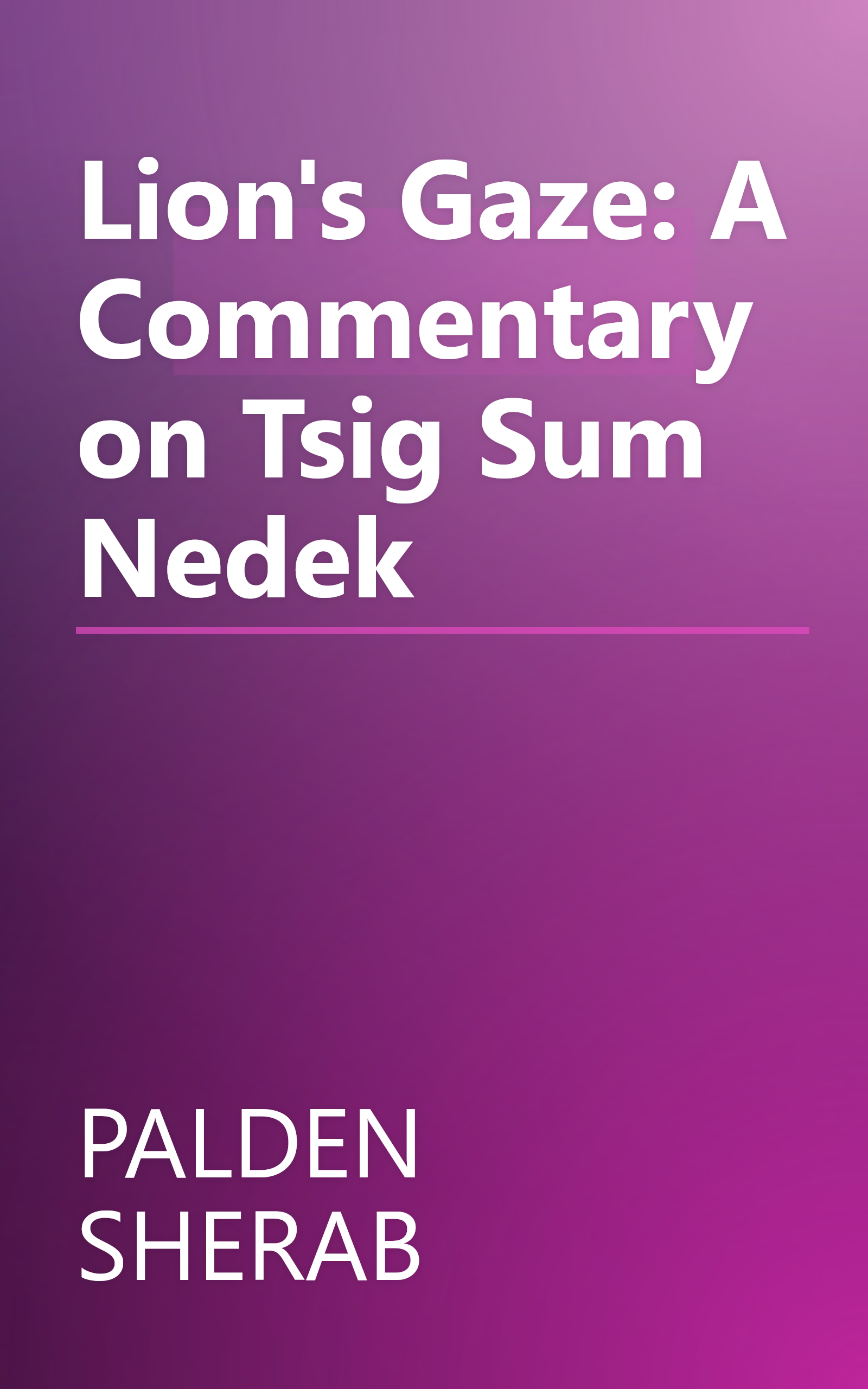 Lion's Gaze: A Commentary on Tsig Sum Nedek book cover
