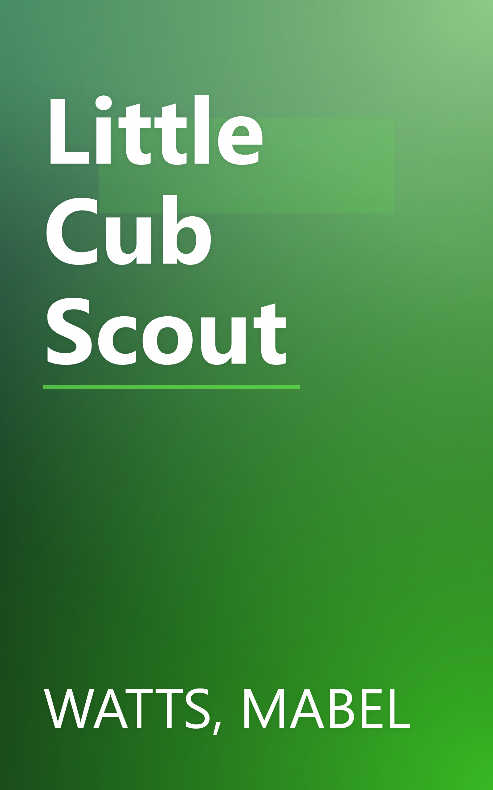 Little Cub Scout book cover