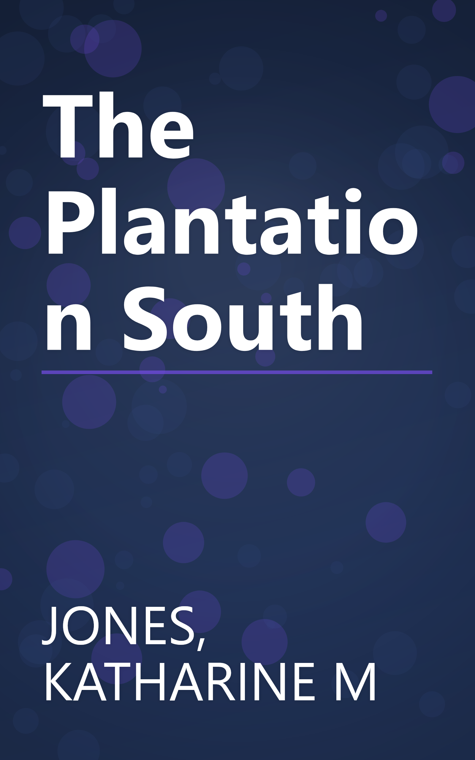 The Plantation South book cover