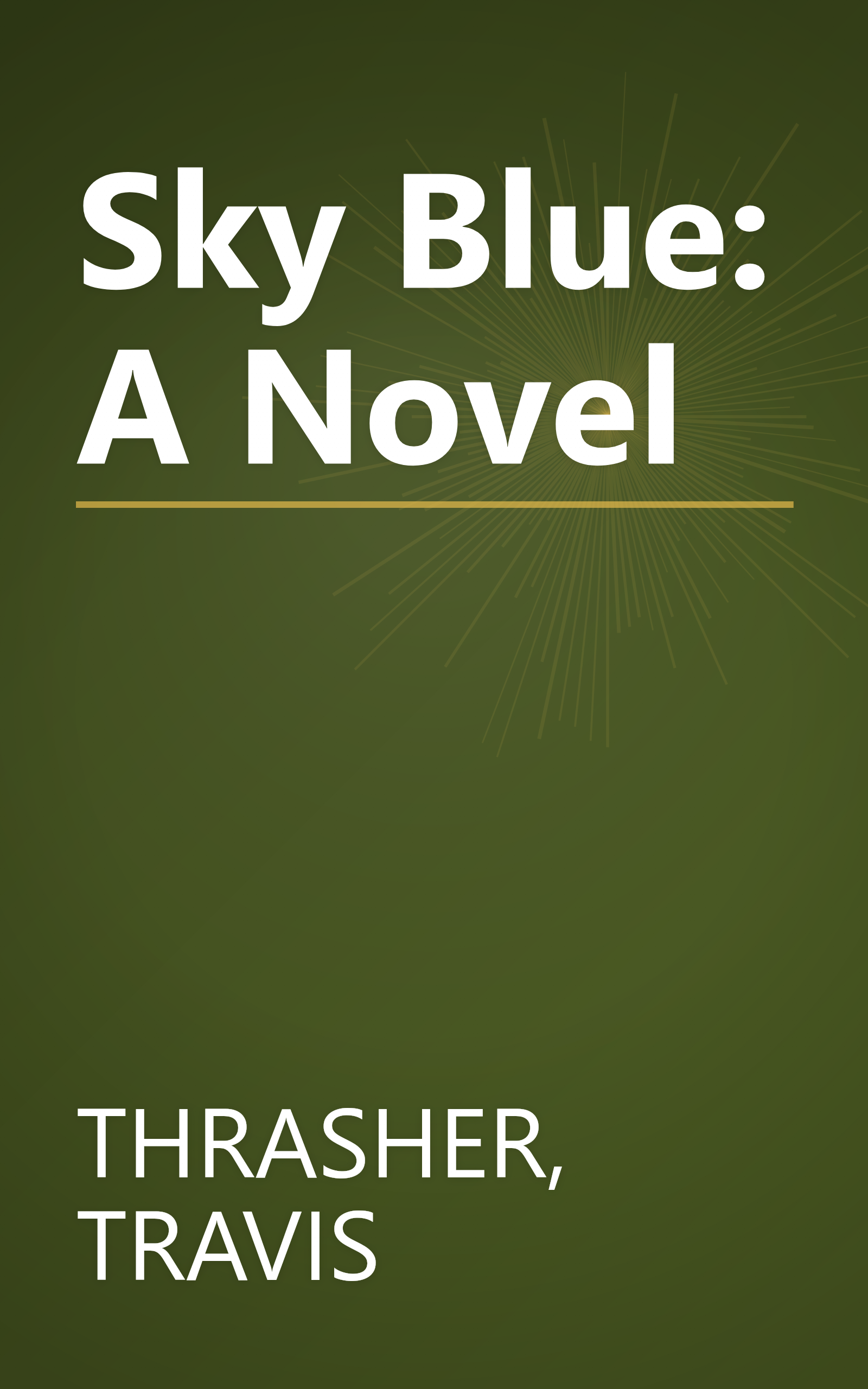Sky Blue: A Novel book cover