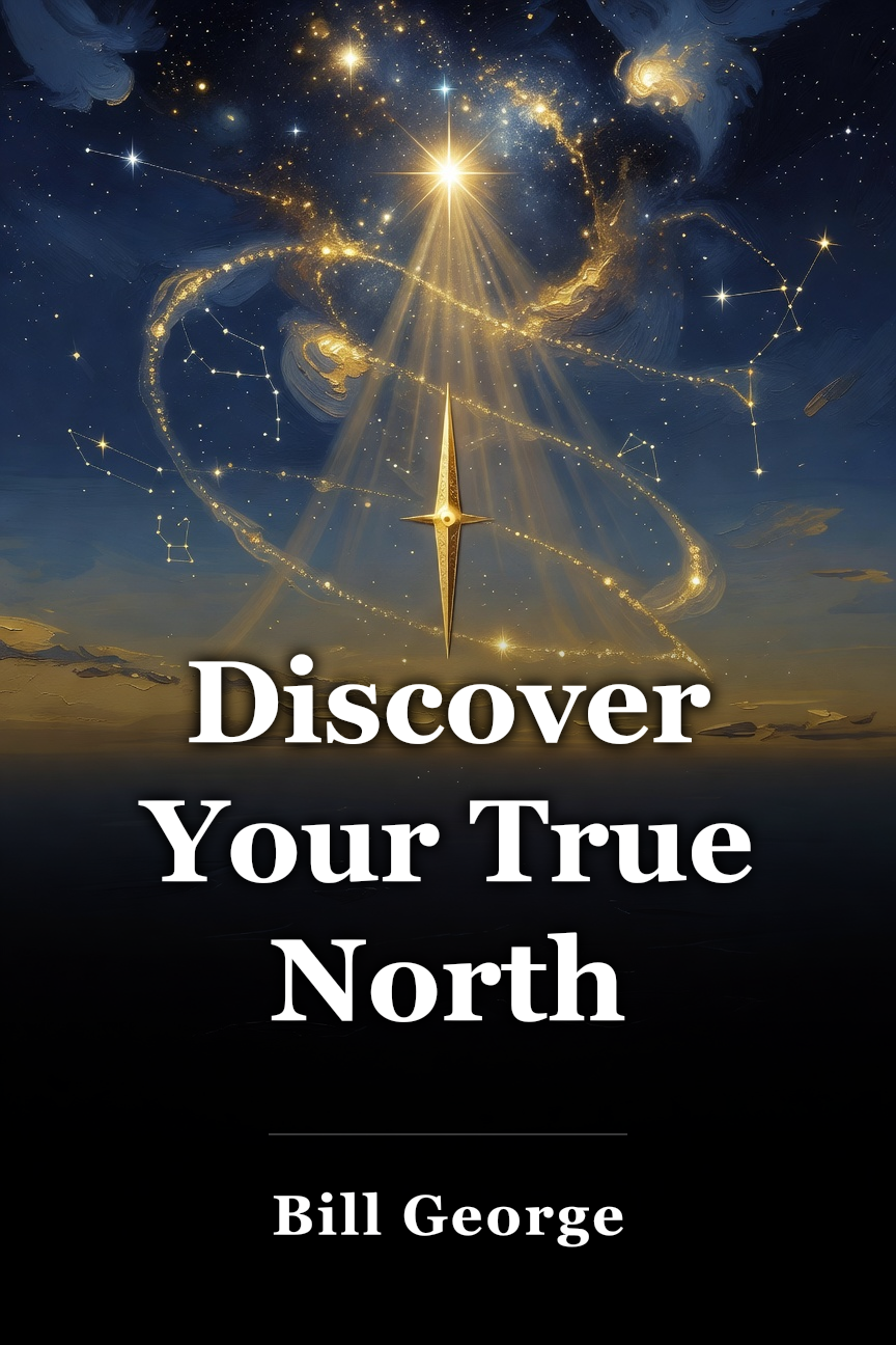 Discover Your True North book cover