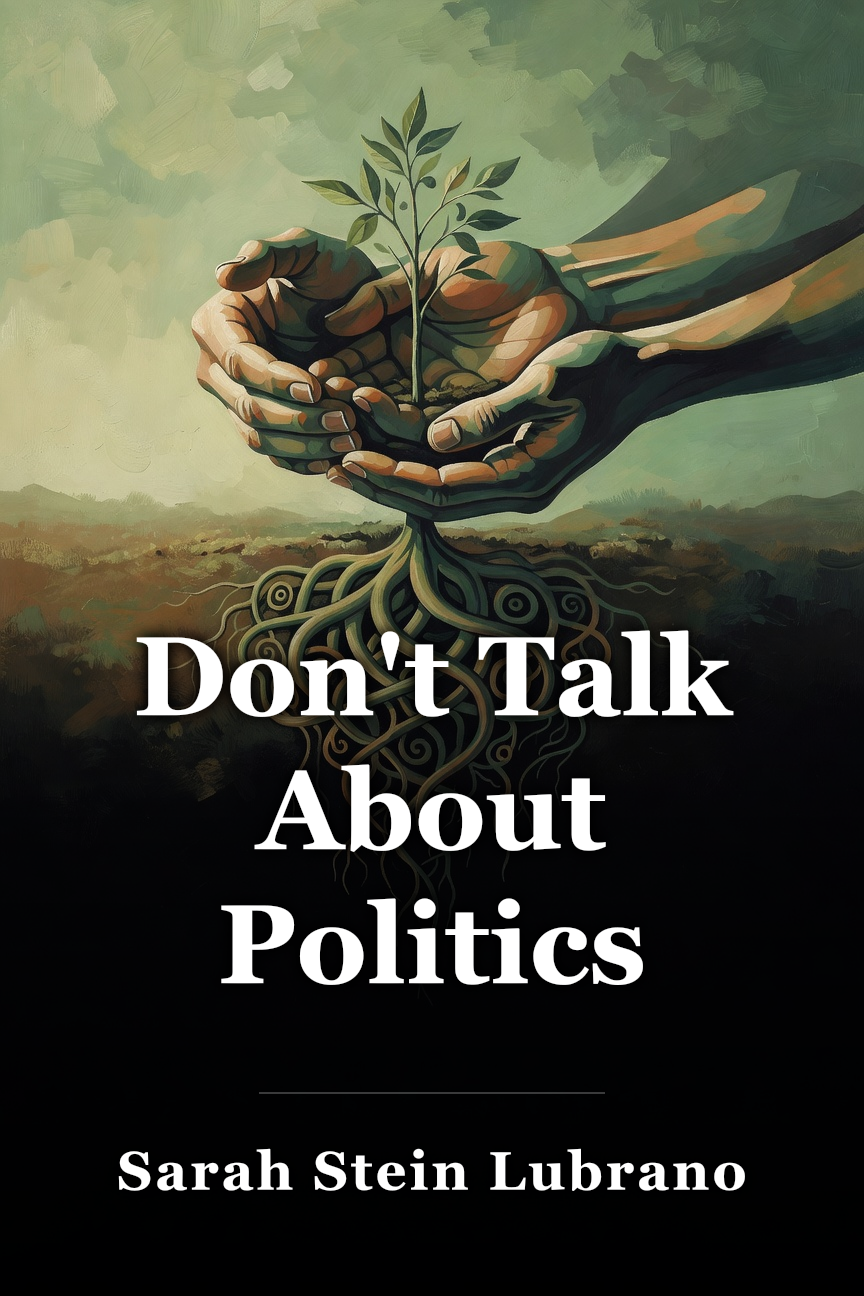 Don't Talk About Politics book cover
