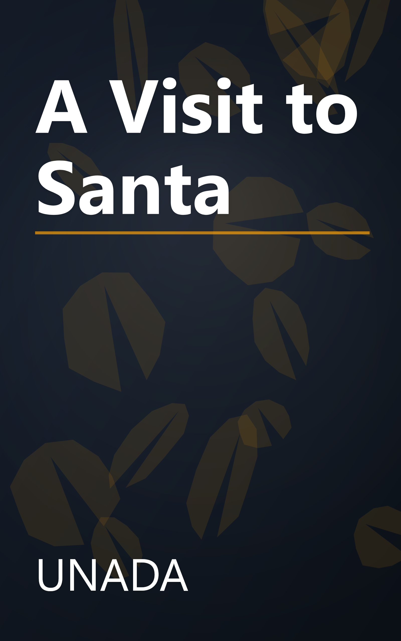 A Visit to Santa book cover
