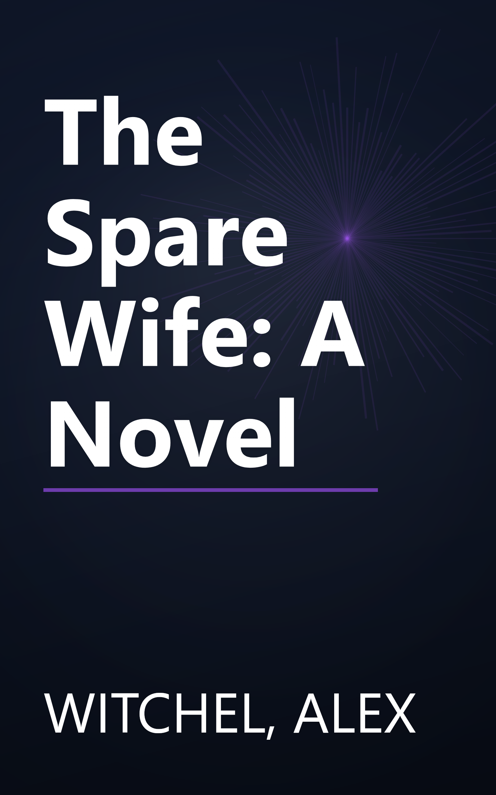 The Spare Wife: A Novel book cover
