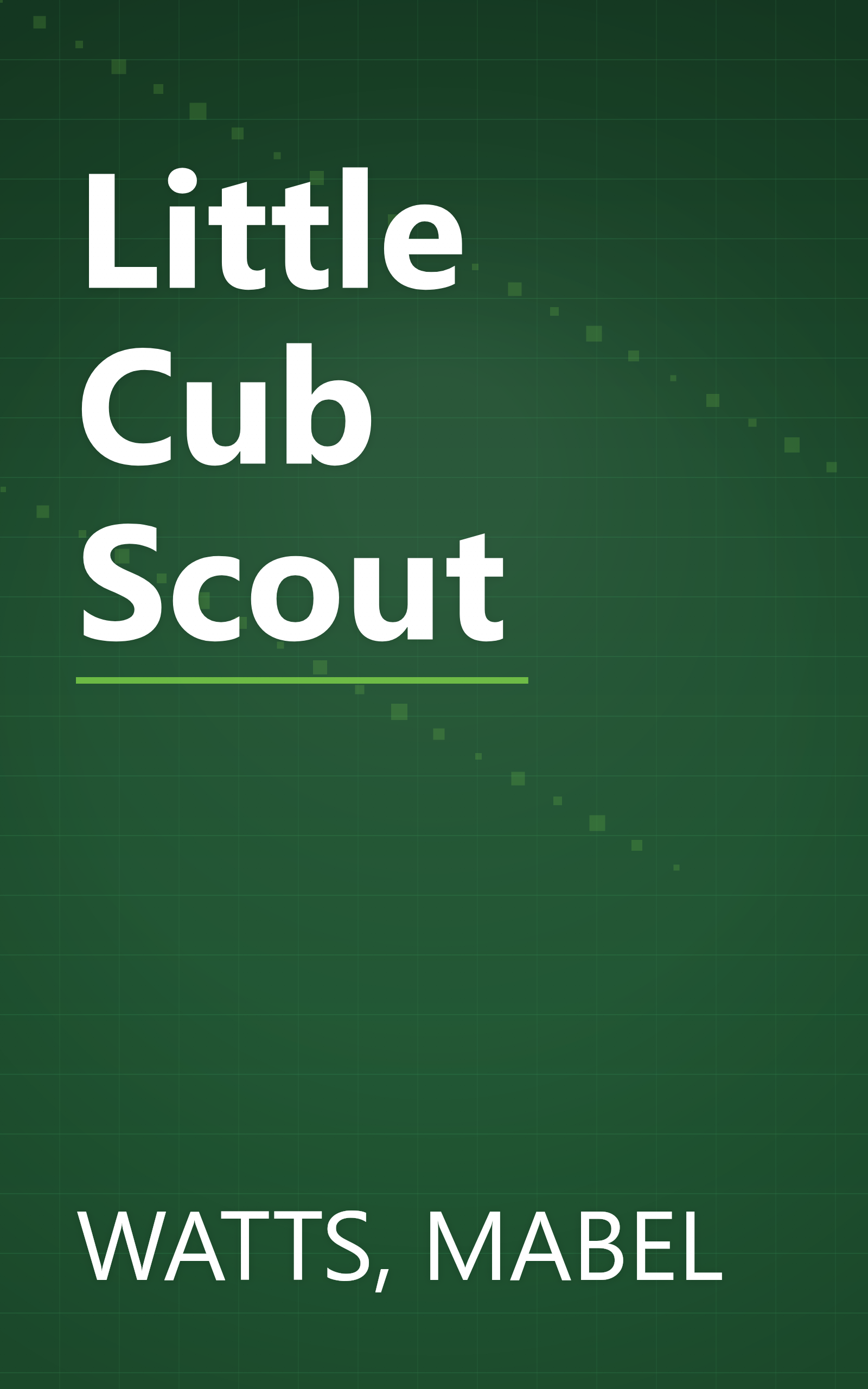 Little Cub Scout book cover