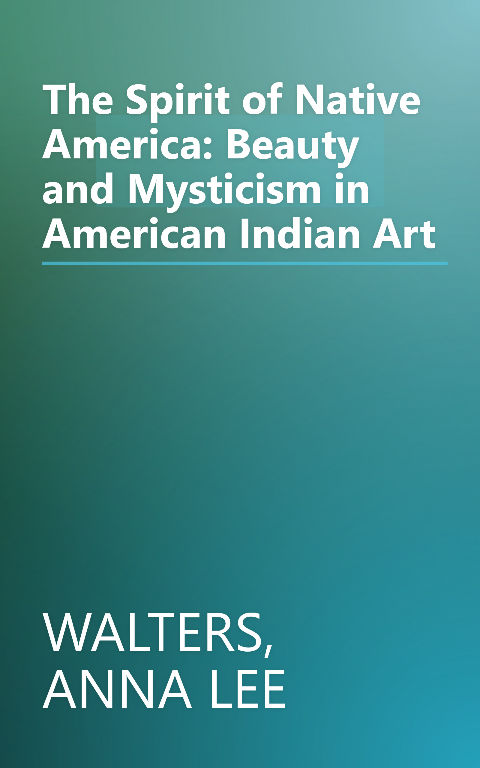 The Spirit of Native America: Beauty and Mysticism in American Indian Art book cover