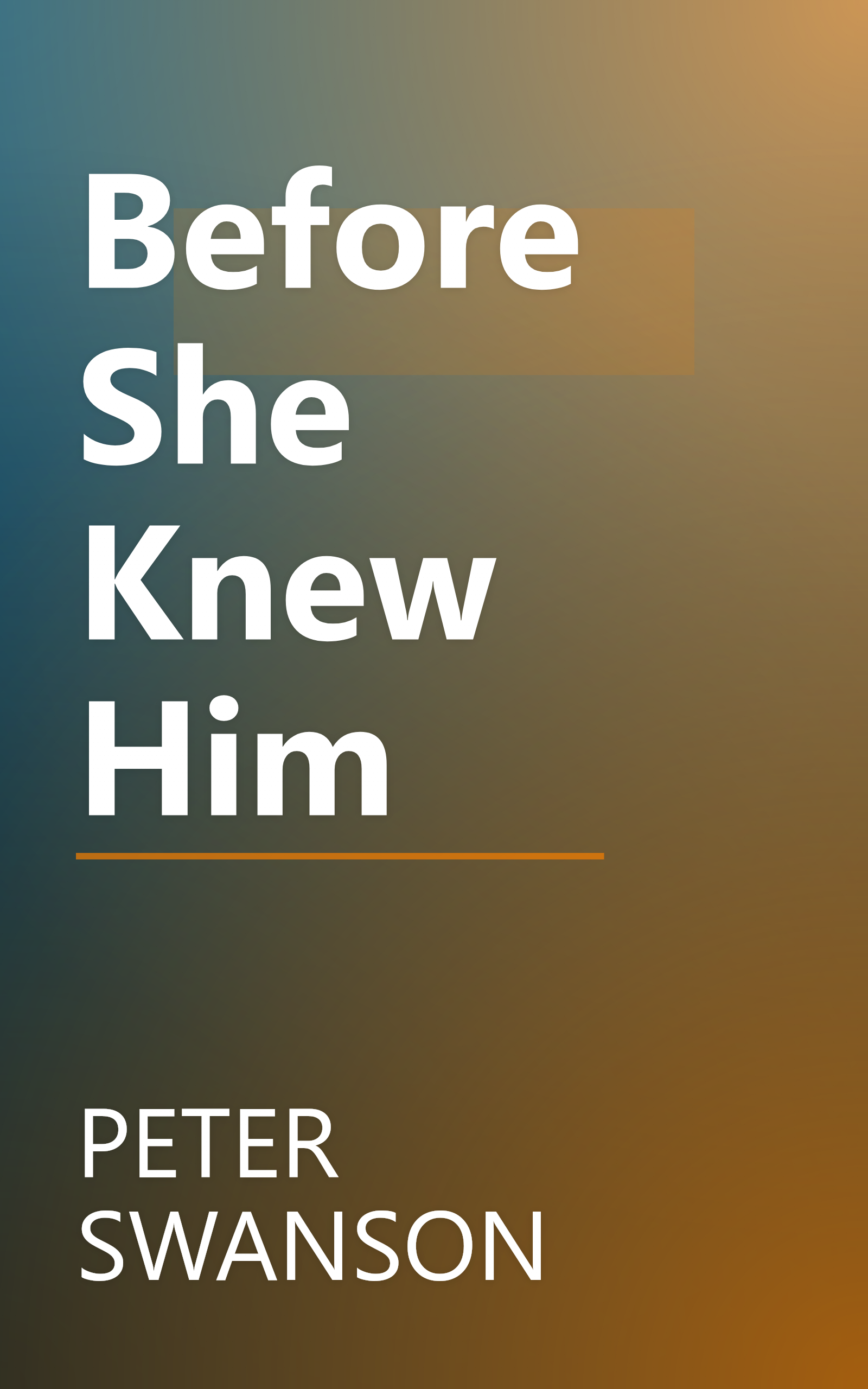 Before She Knew Him book cover