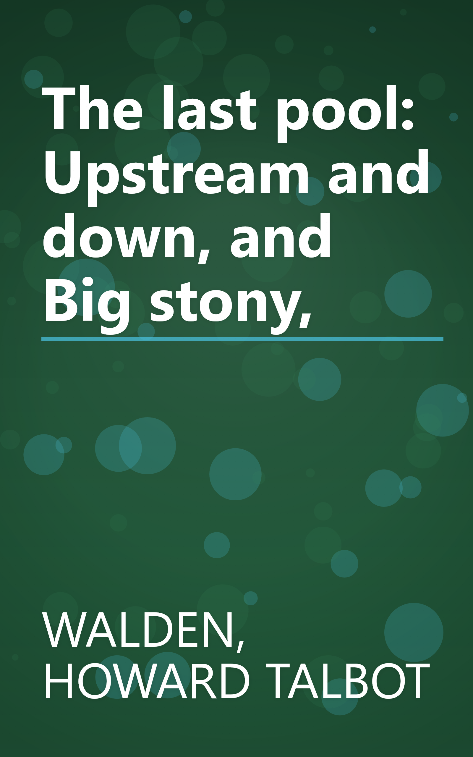The last pool: Upstream and down, and Big stony, book cover