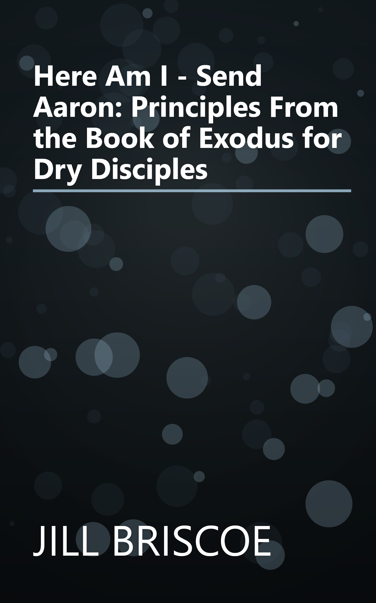 Here Am I - Send Aaron: Principles From the Book of Exodus for Dry Disciples book cover