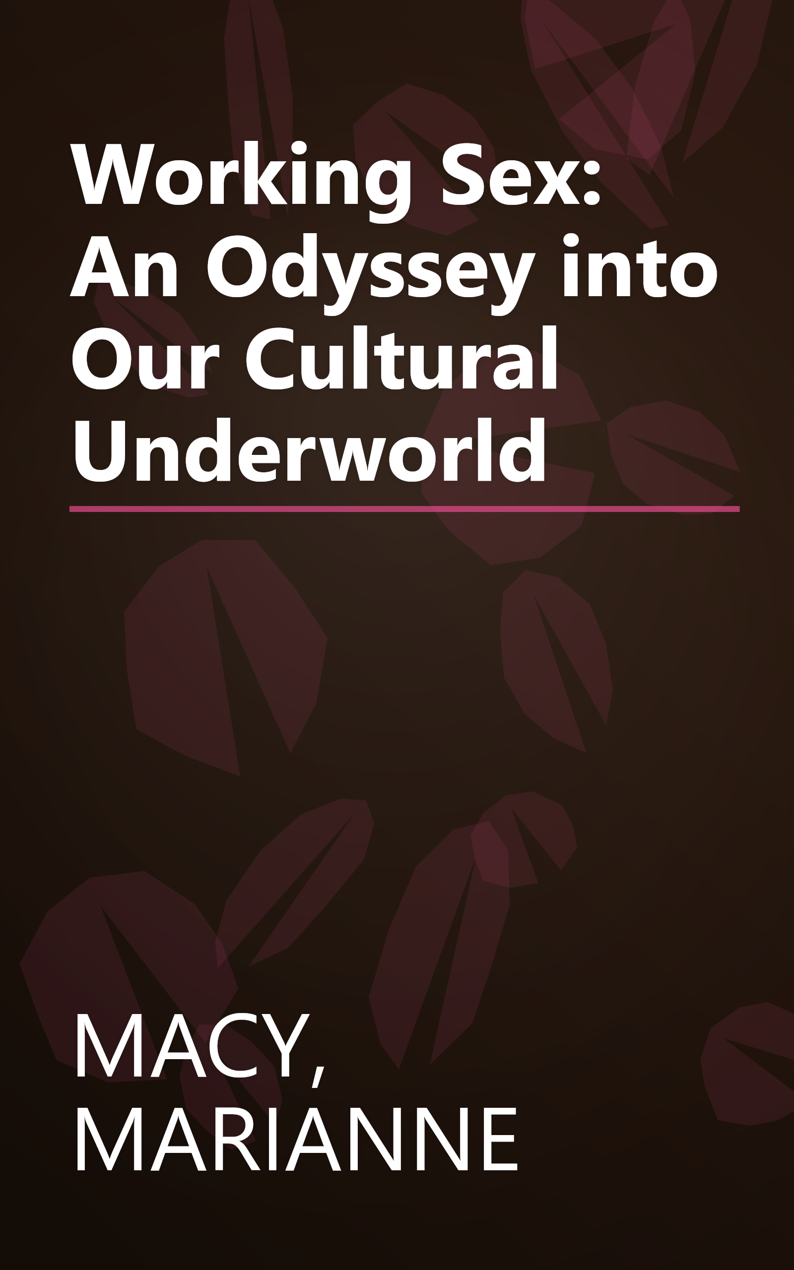 Working Sex: An Odyssey into Our Cultural Underworld book cover