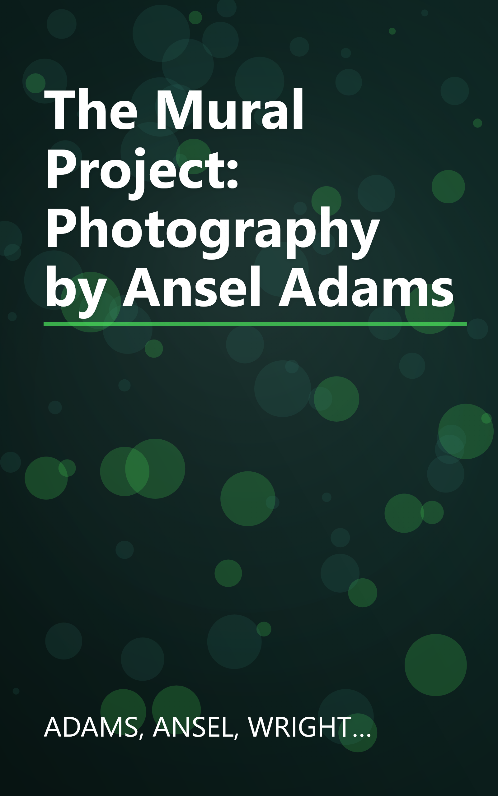 The Mural Project: Photography by Ansel Adams book cover