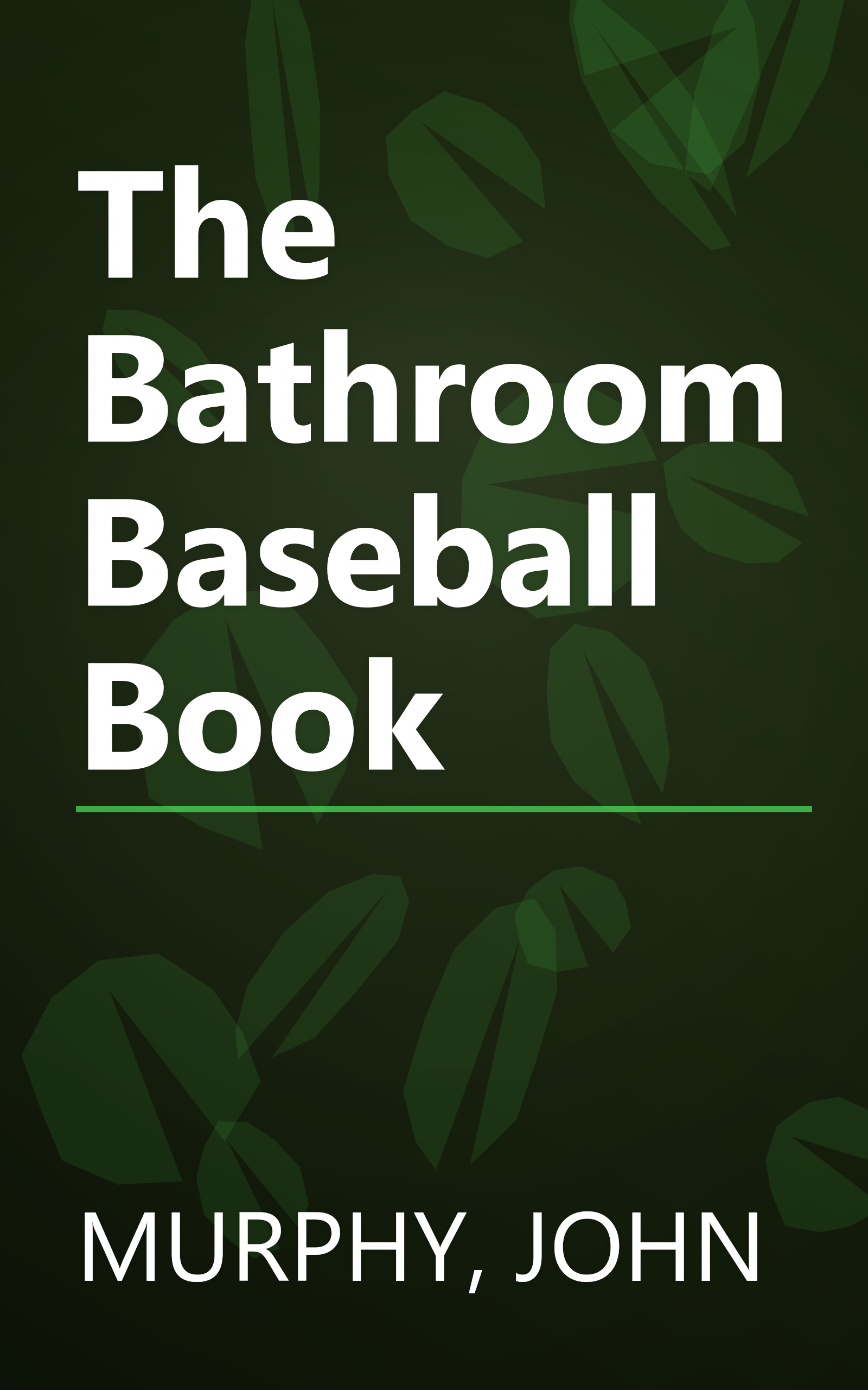 The Bathroom Baseball Book book cover