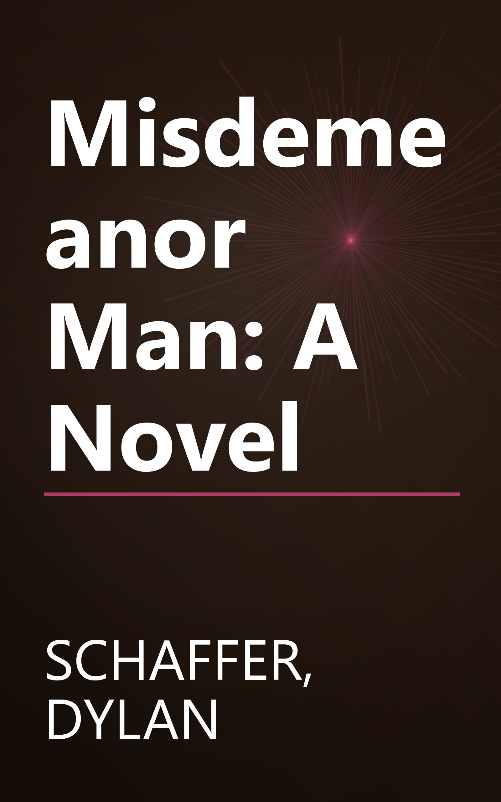 Misdemeanor Man: A Novel book cover