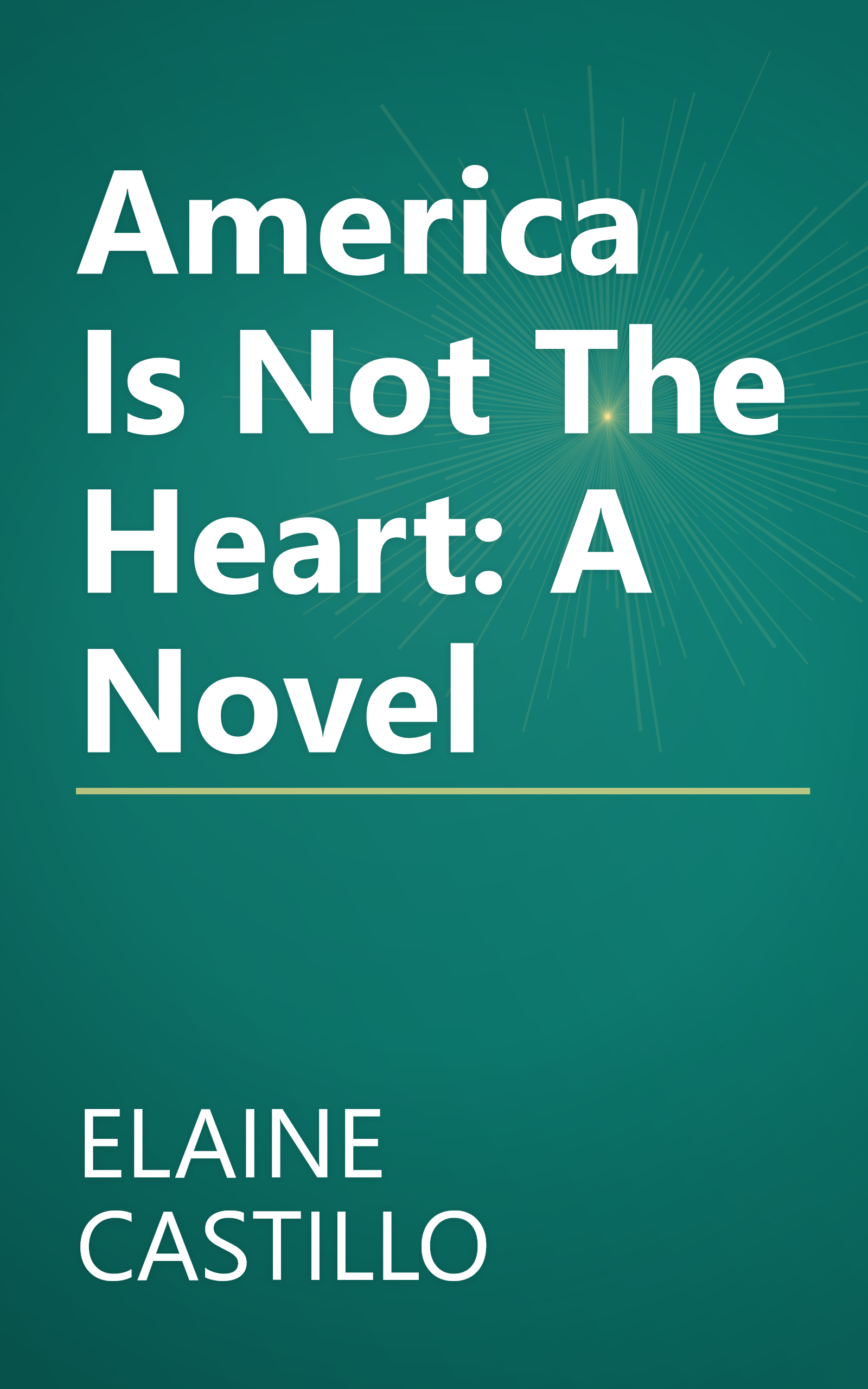 America Is Not The Heart: A Novel book cover