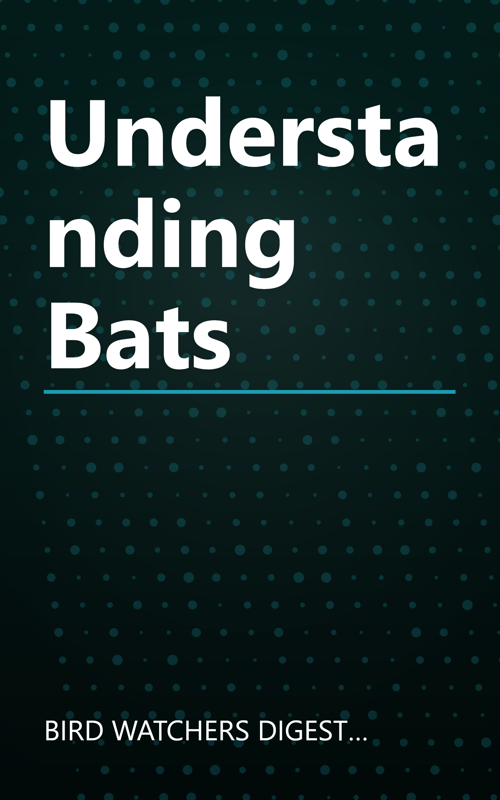Understanding Bats book cover