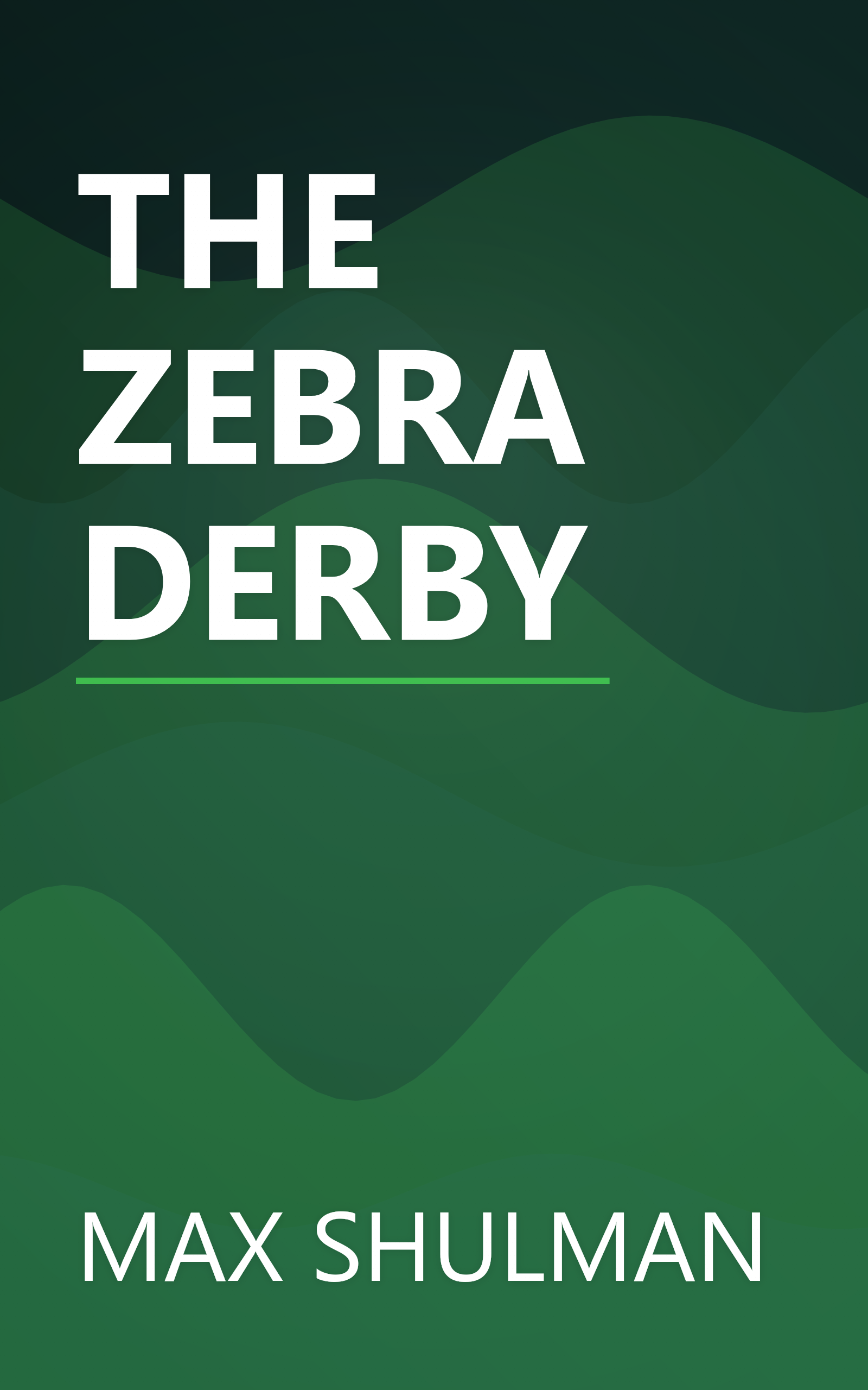 THE ZEBRA DERBY book cover