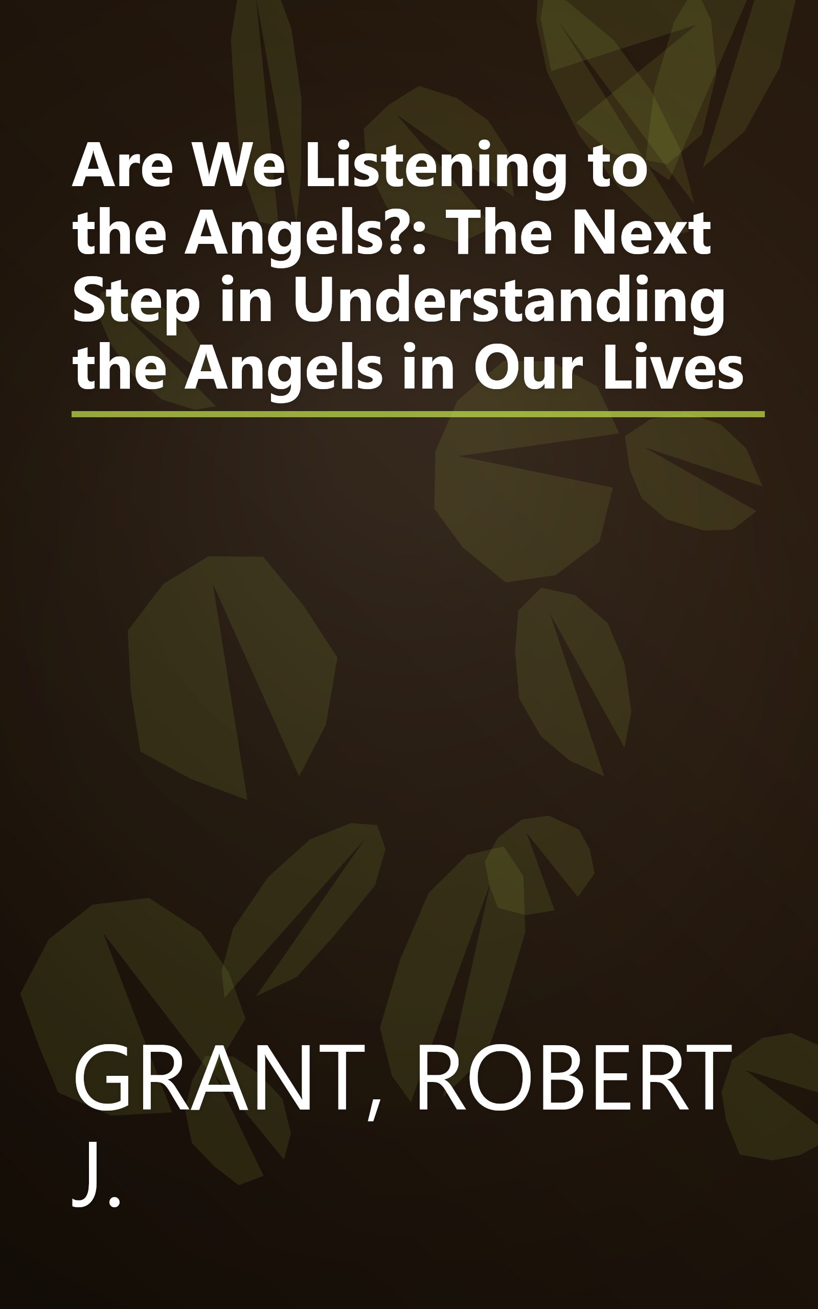Are We Listening to the Angels?: The Next Step in Understanding the Angels in Our Lives book cover