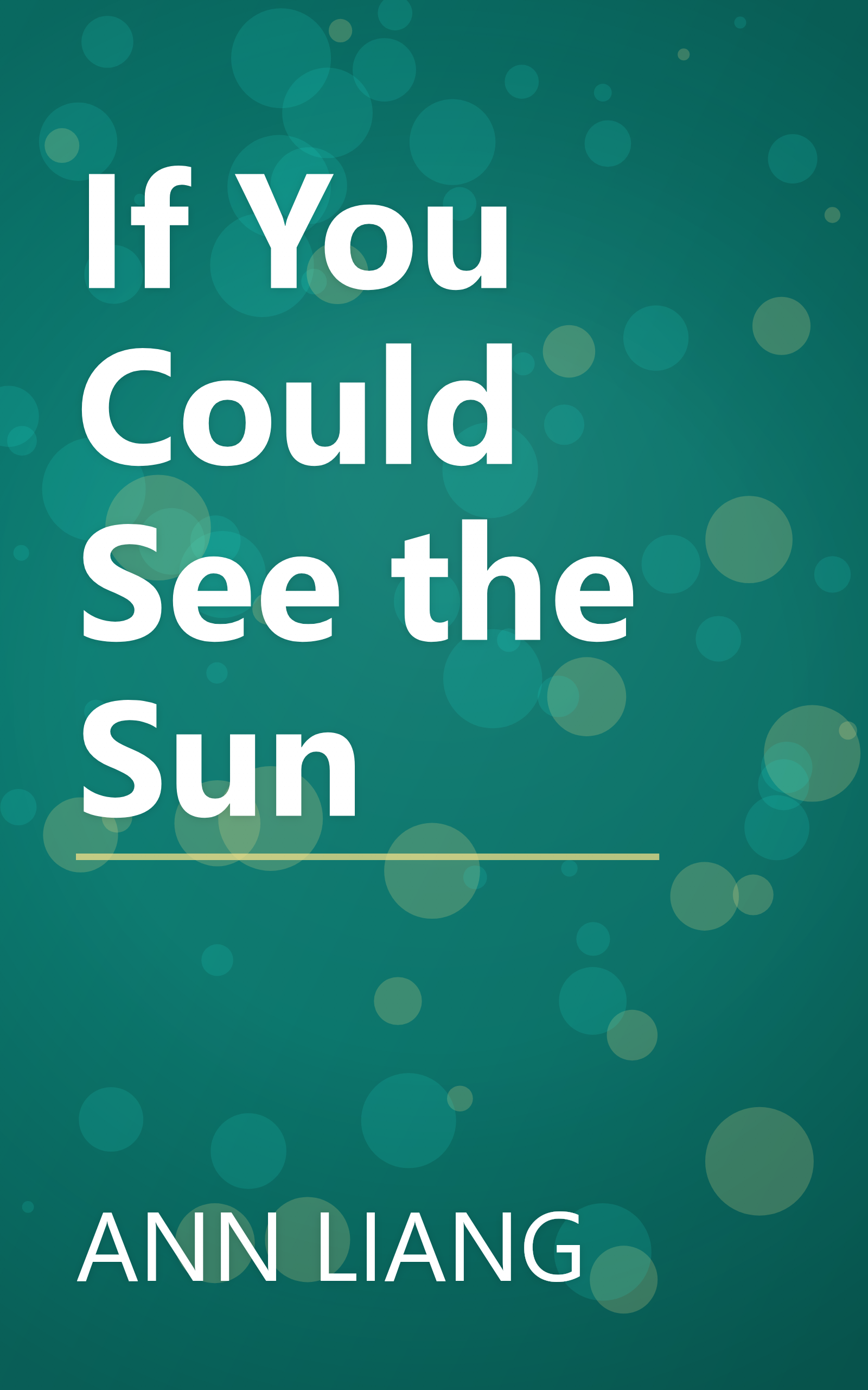 If You Could See the Sun book cover
