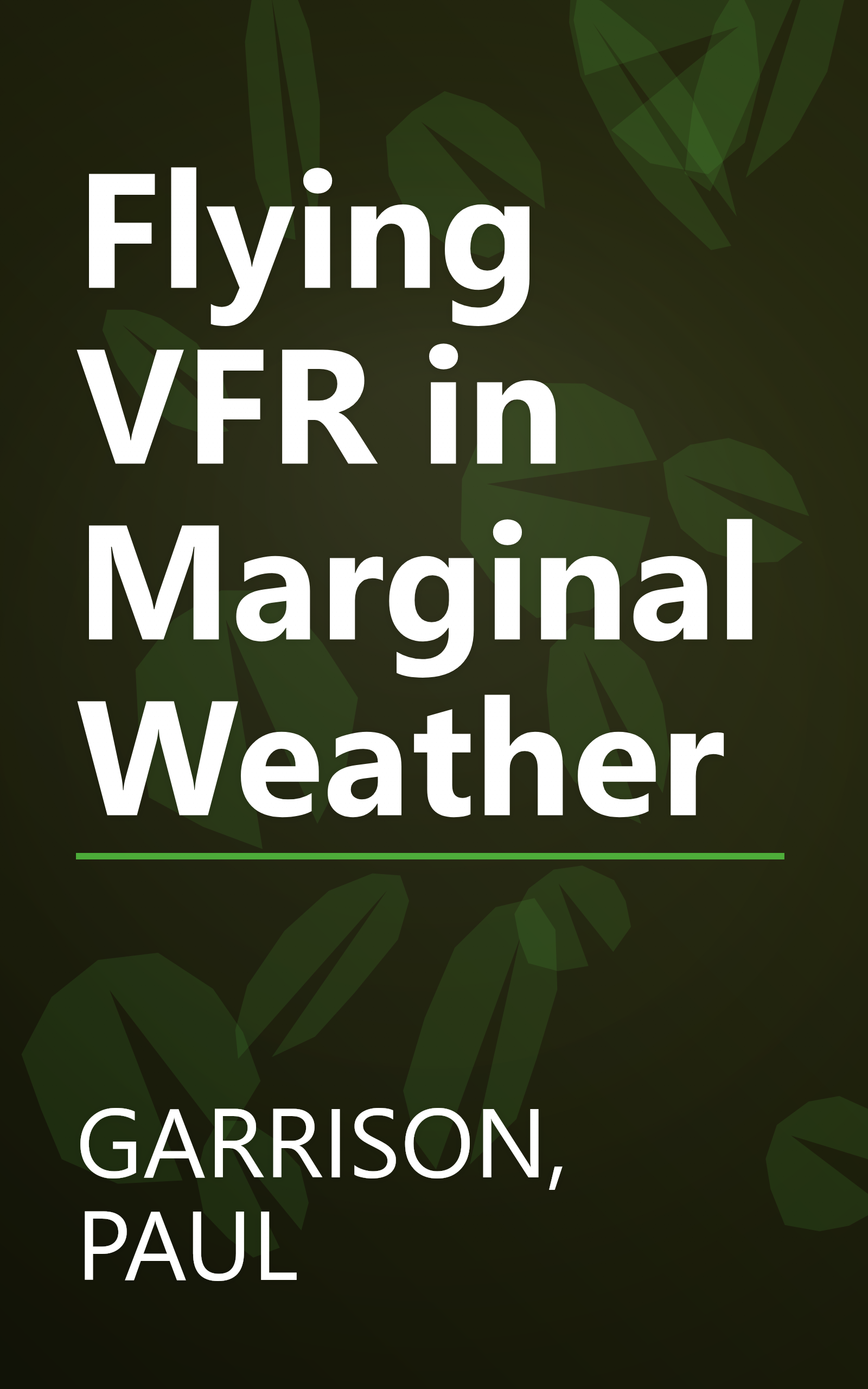 Flying VFR in Marginal Weather book cover