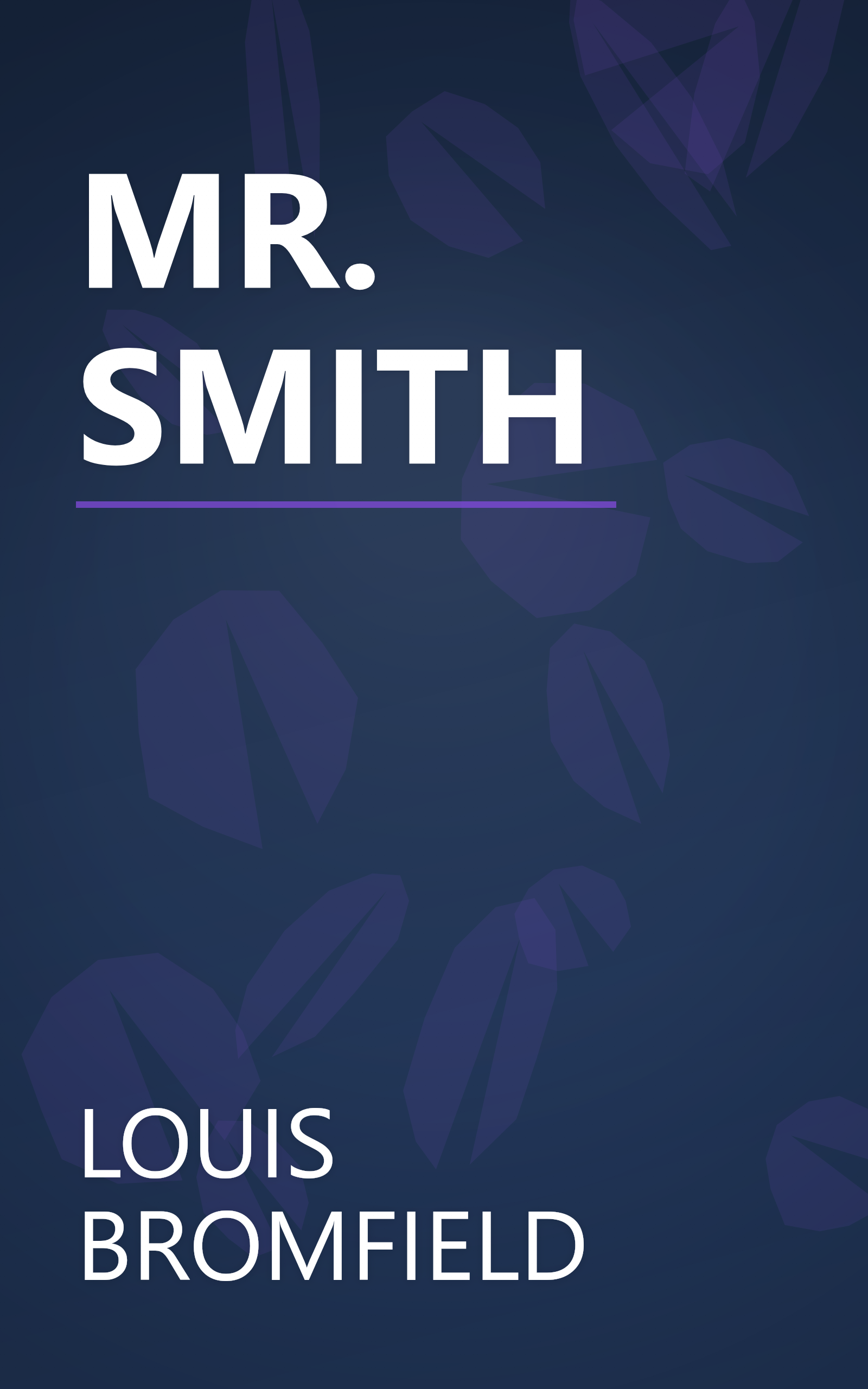 MR. SMITH book cover