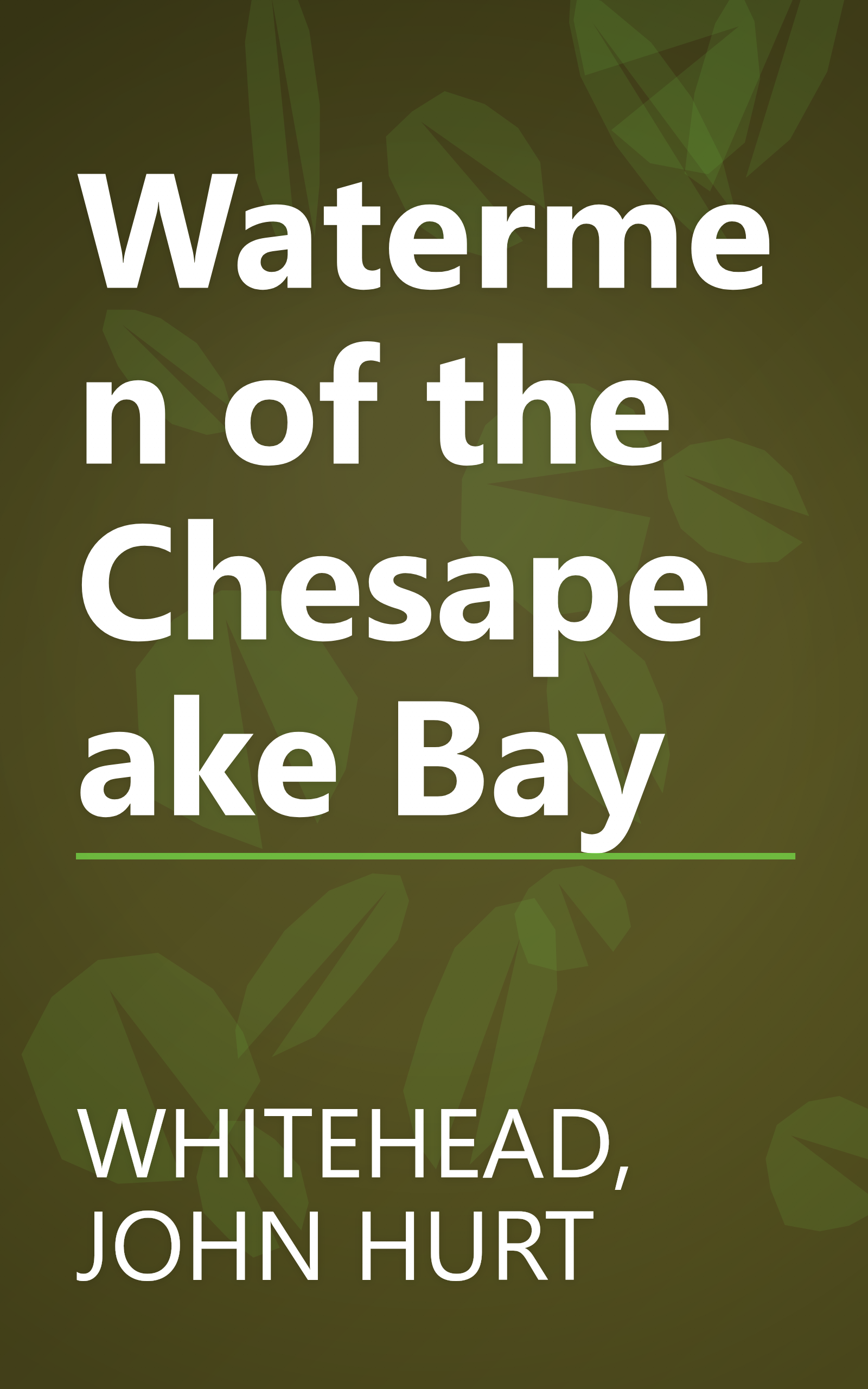 Watermen of the Chesapeake Bay book cover