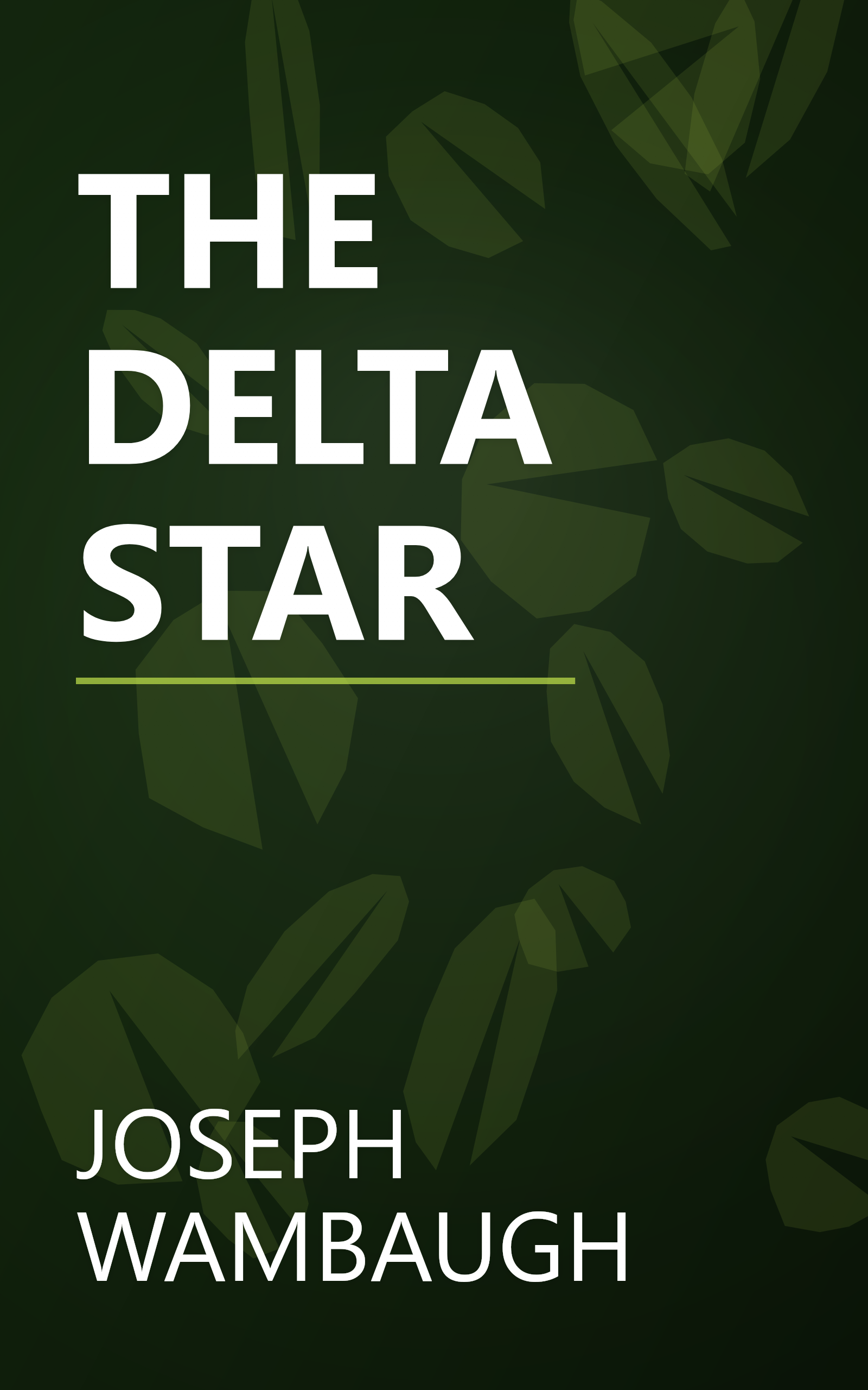 THE DELTA STAR book cover