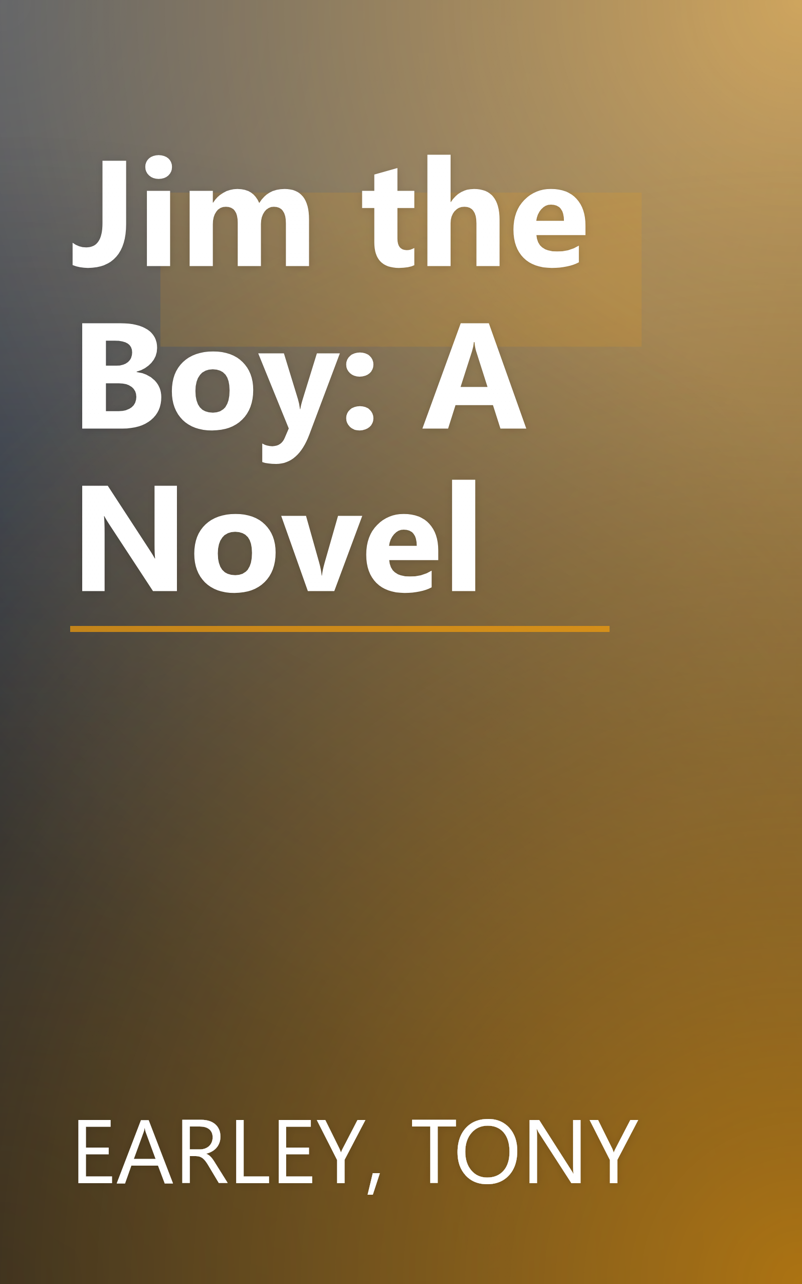 Jim the Boy: A Novel book cover