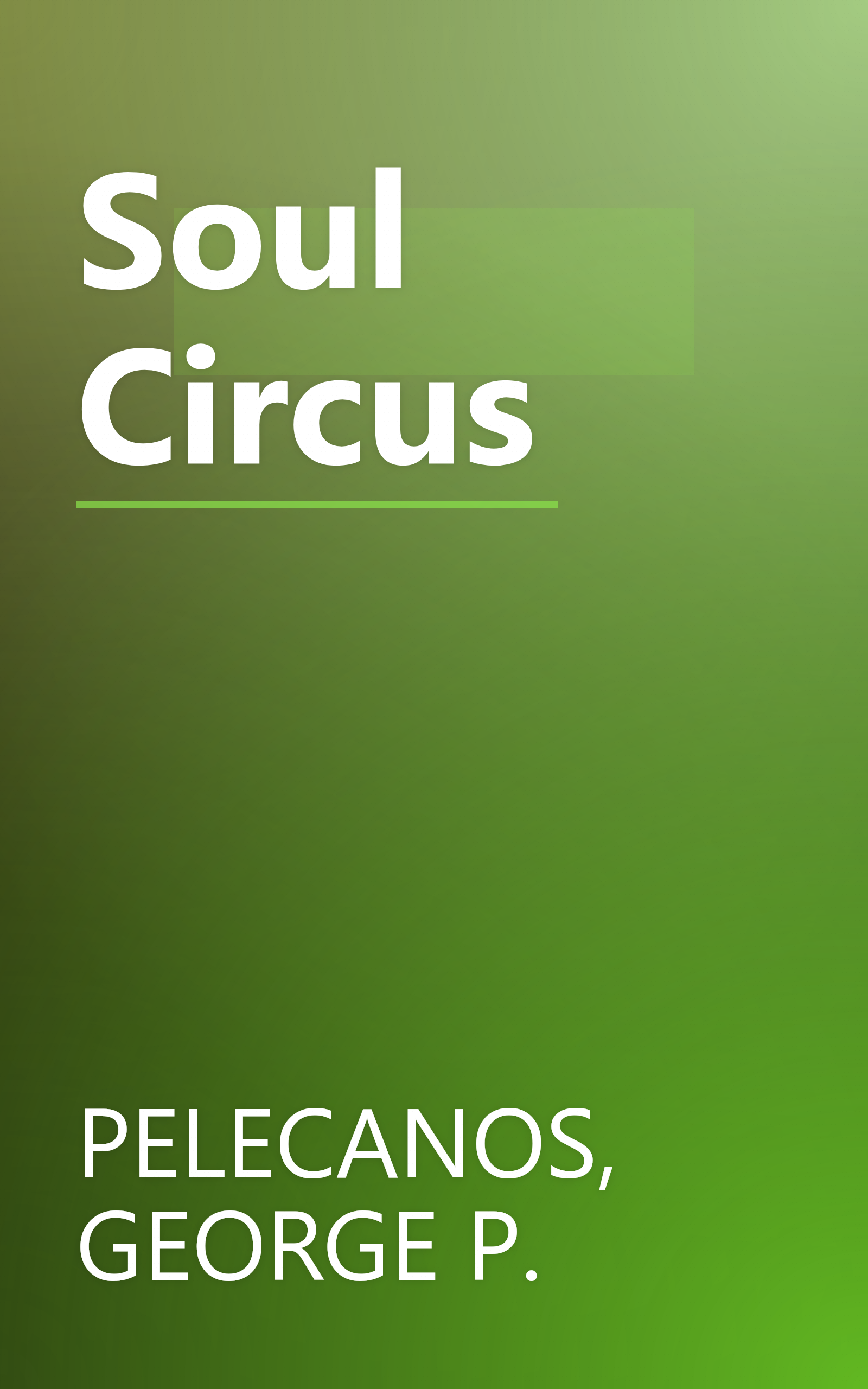 Soul Circus book cover