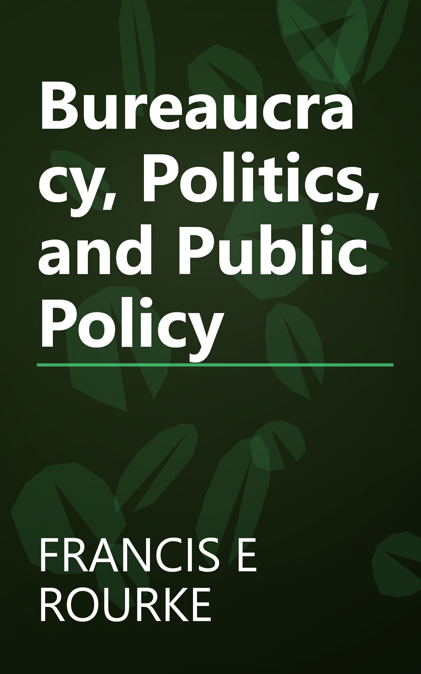 Bureaucracy, Politics, and Public Policy book cover