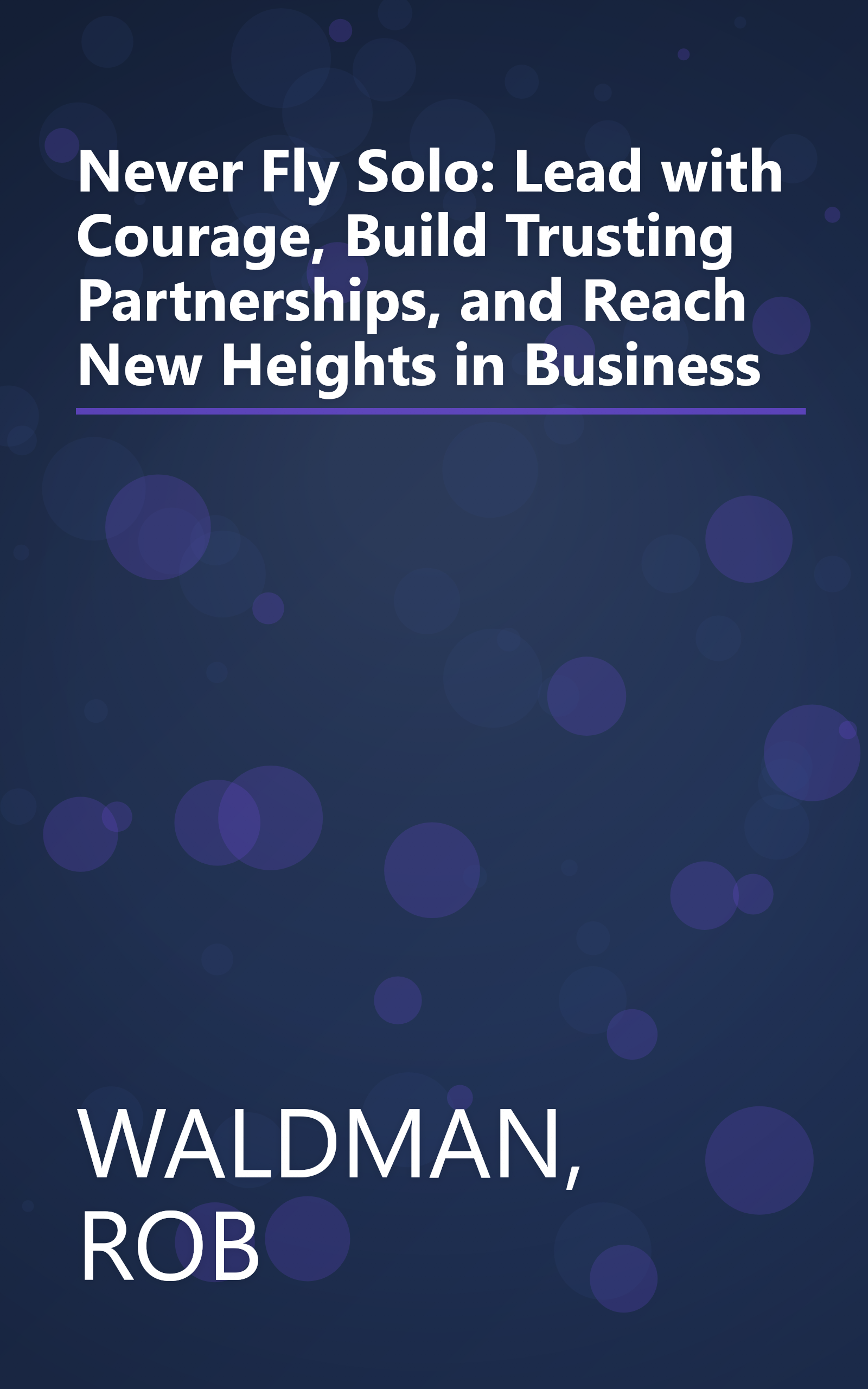 Never Fly Solo: Lead with Courage, Build Trusting Partnerships, and Reach New Heights in Business book cover