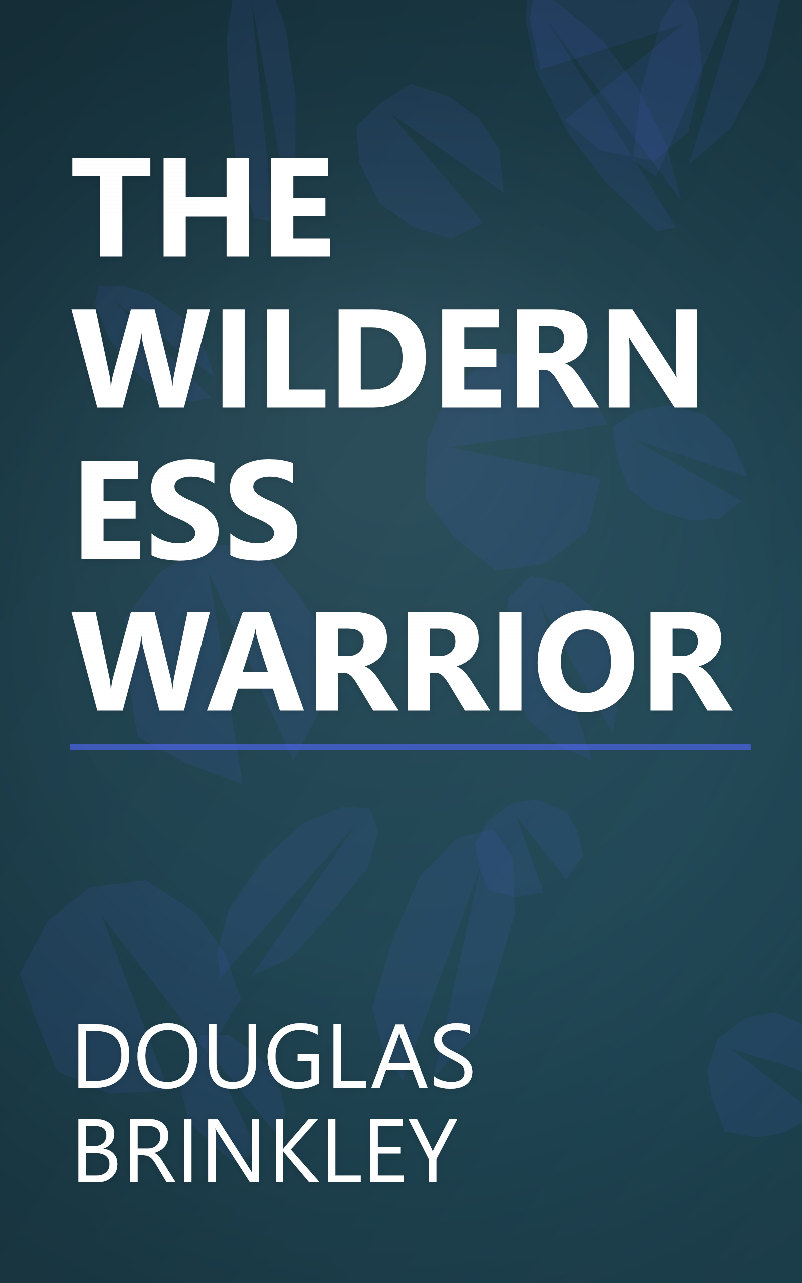 THE WILDERNESS WARRIOR book cover